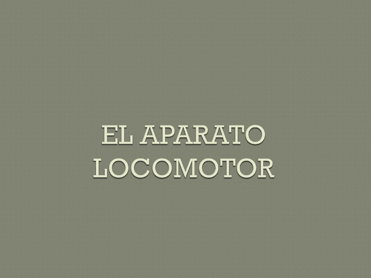 Introducción A La Anatomía Apuntes De Anatomía Docsity