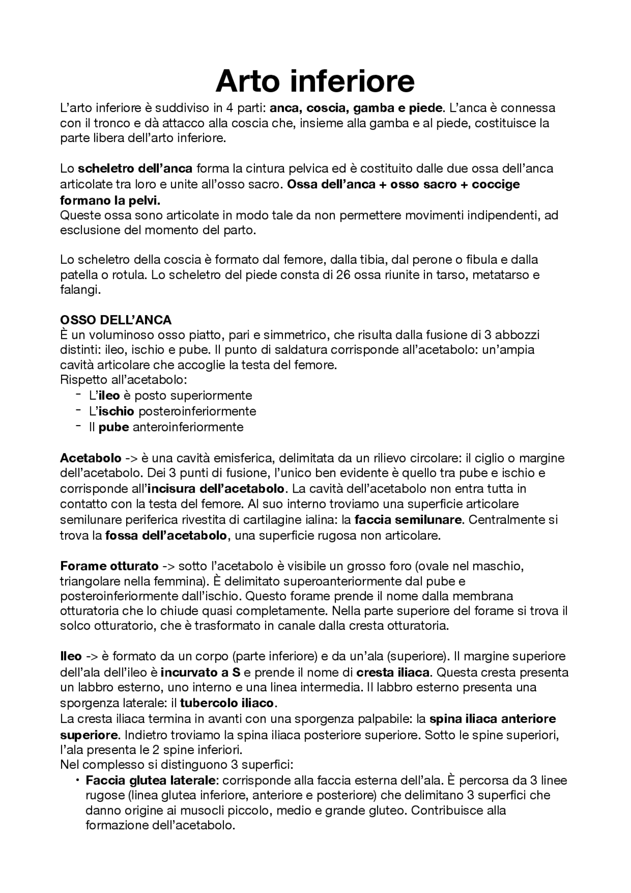 Riassunto Arto Inferiore Dispense Di Anatomia Docsity