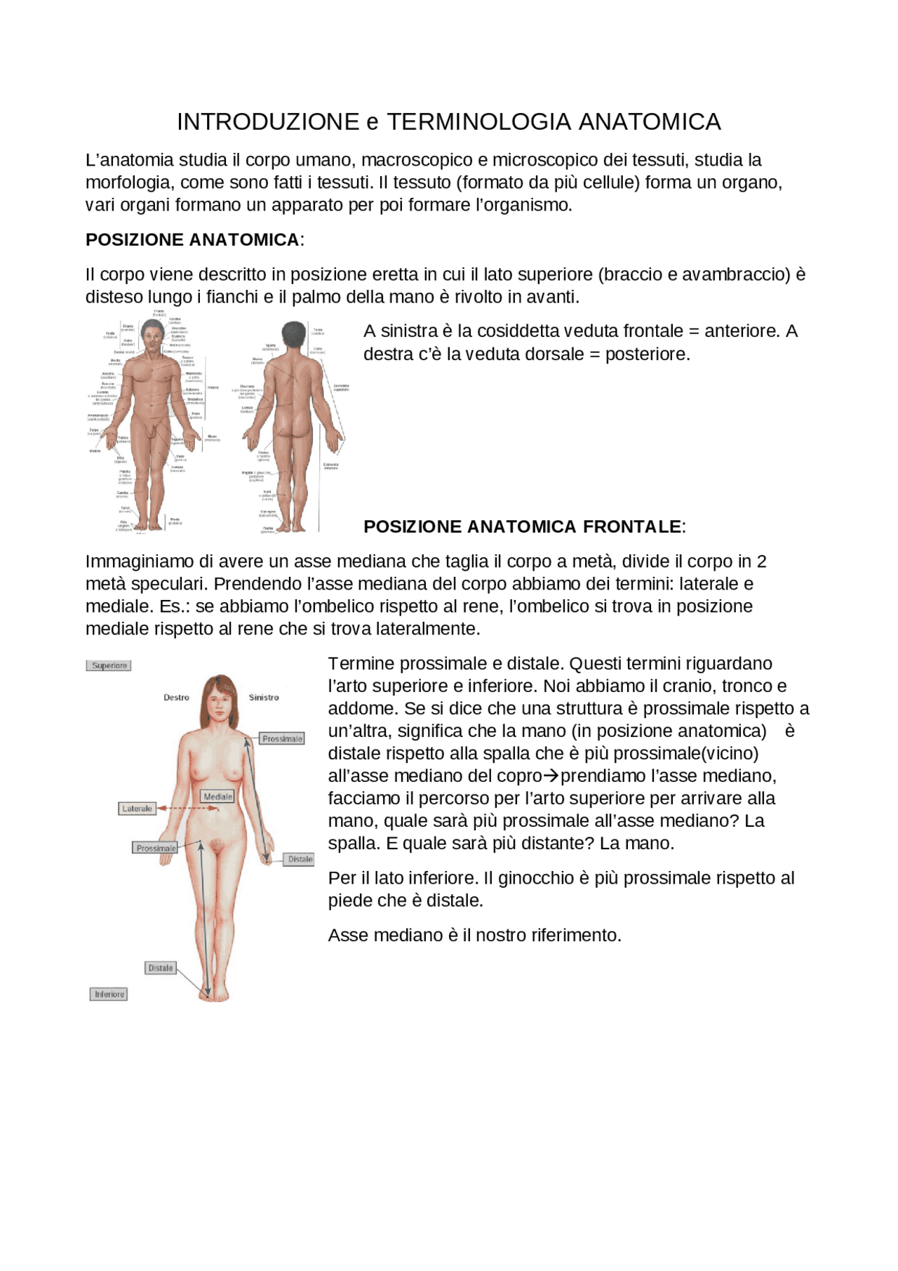 Introduzione Alla Anatomia Appunti Di Anatomia Docsity