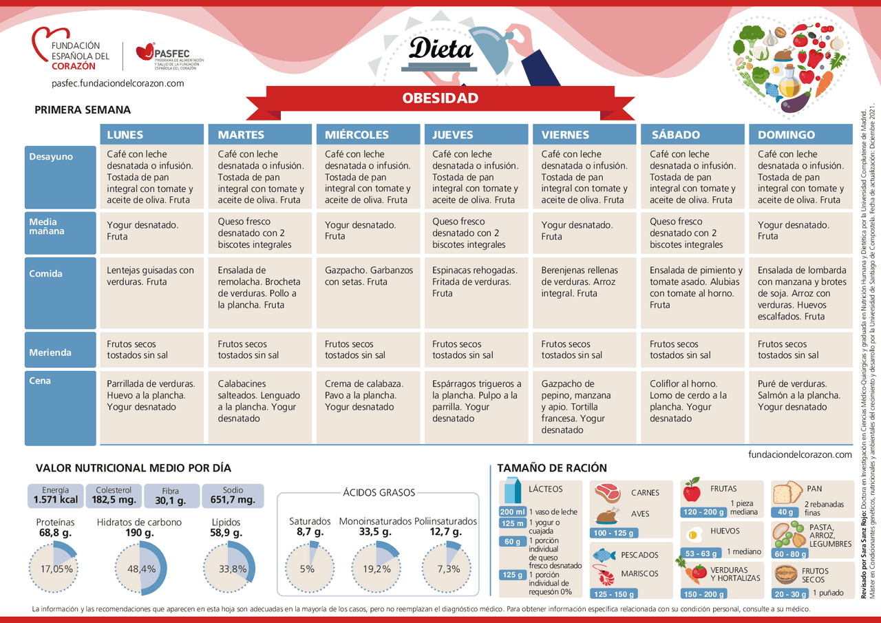 Dieta Para La Obesidad Esquemas Y Mapas Conceptuales De Nutrición