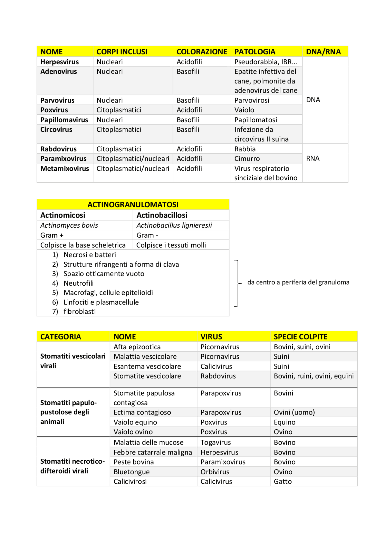 Tabelleschemi Di Anatomia Patologica Schemi E Mappe Concettuali Di