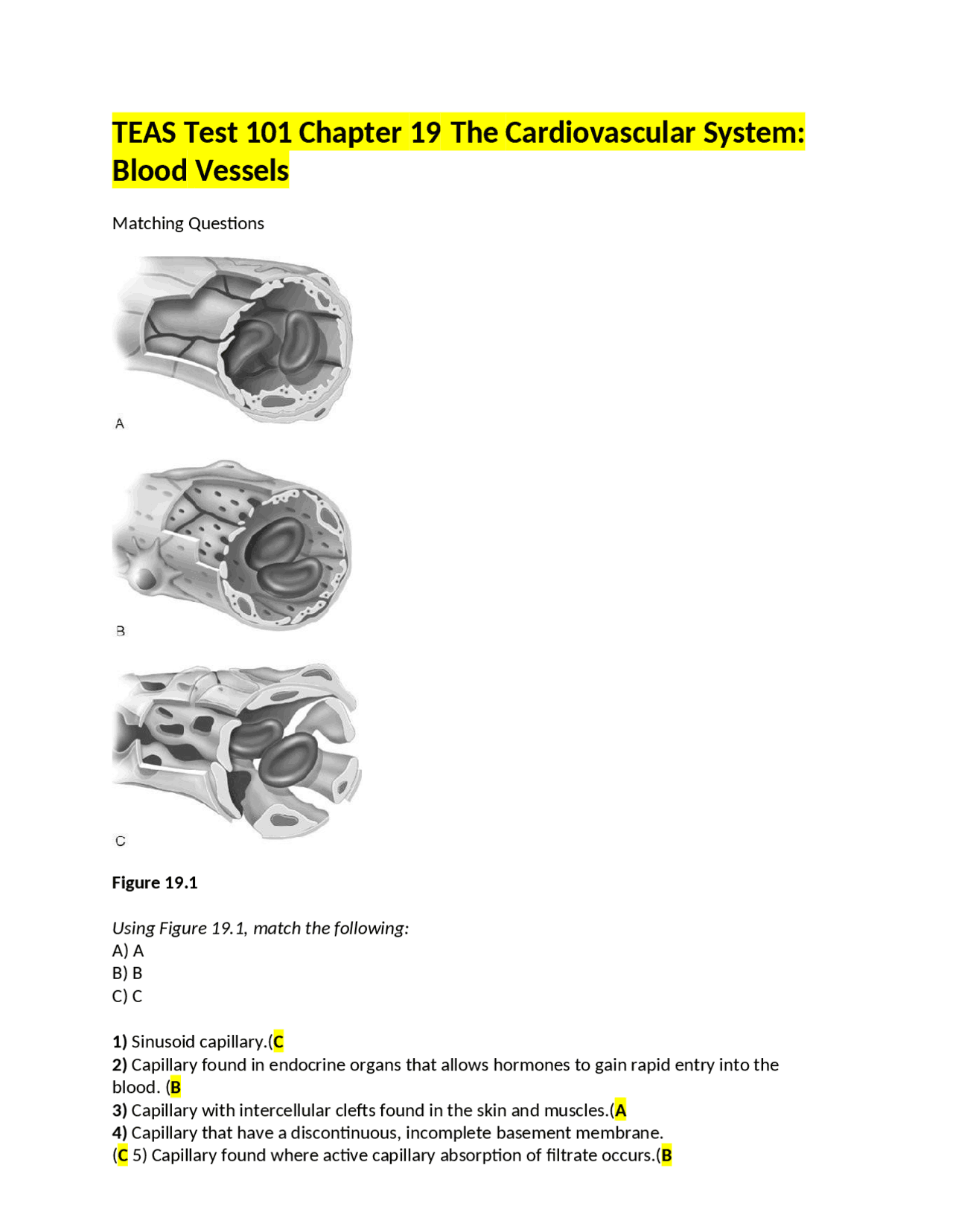 TEAS Test 101 Chapter 19 The Cardiovascular System: Blood Vessels ...