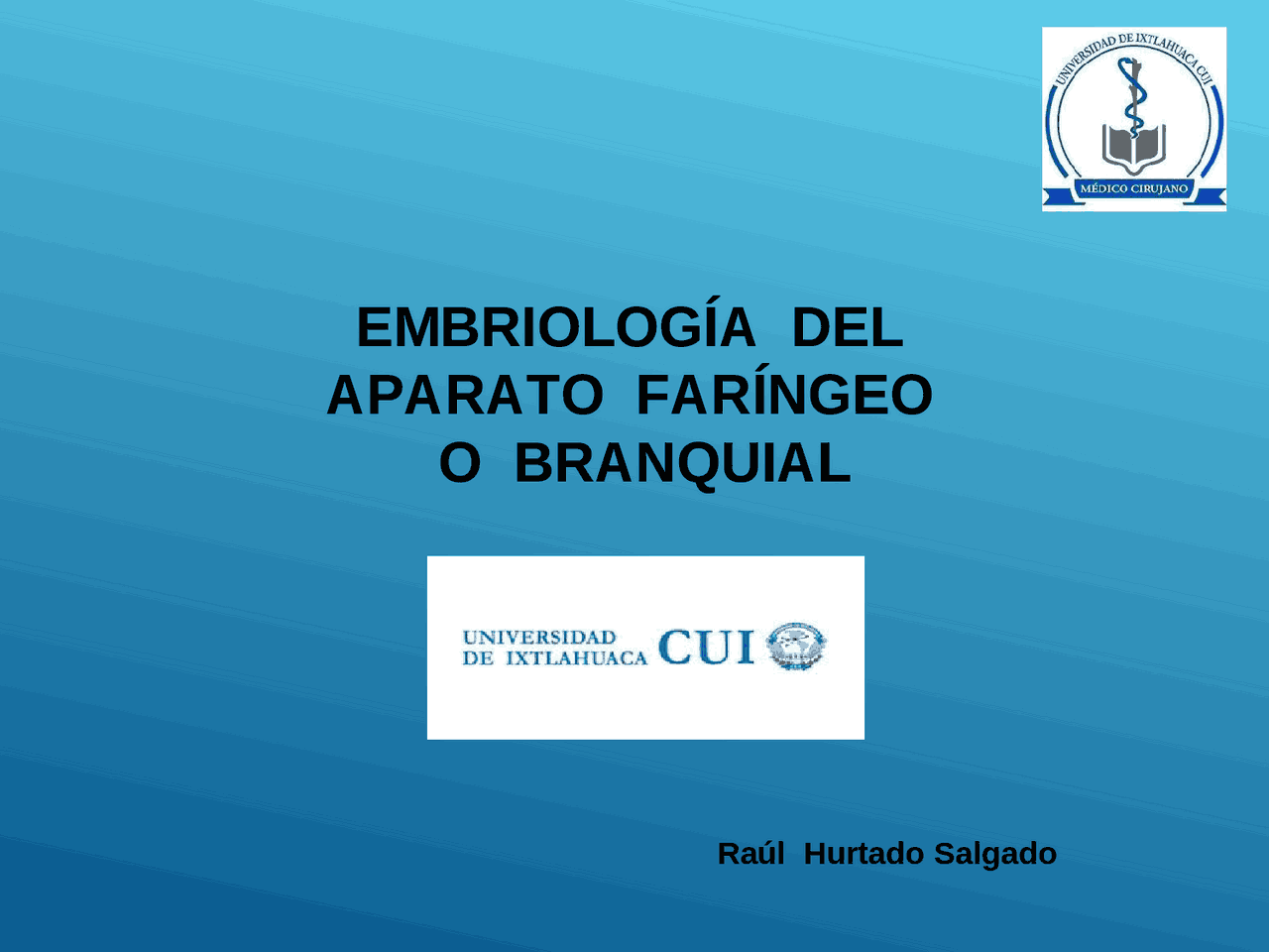 Arcos Faringeos Desarrollo Diapositivas De Embriología Docsity