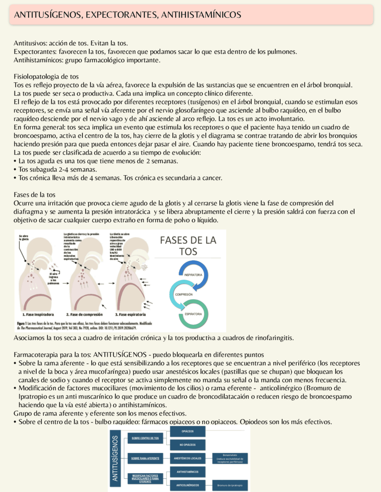 Farmacología De Antiarritmicos Etc Apuntes De Farmacología Docsity