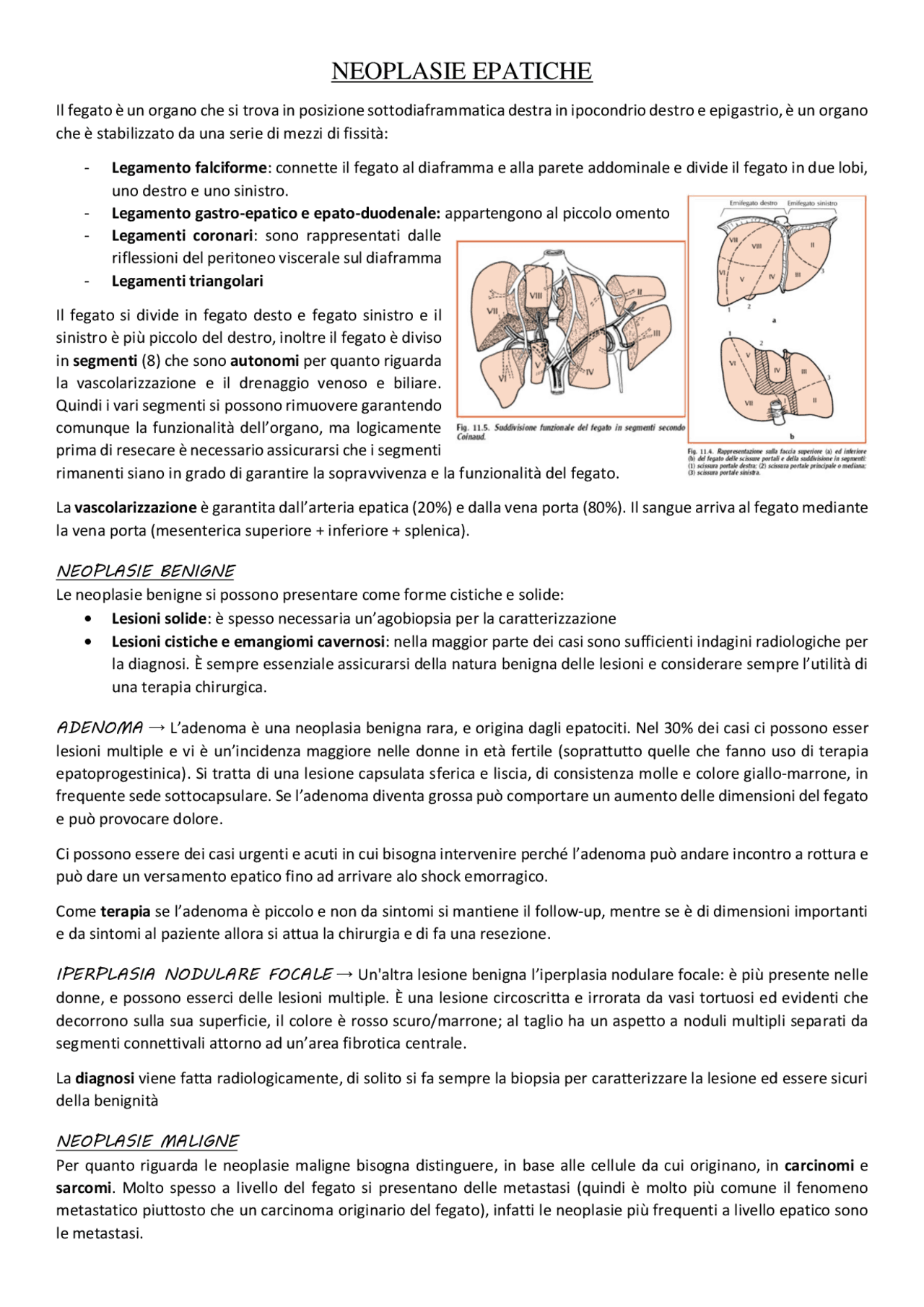 Neoplasie gastriche e epatiche | Appunti di Chirurgia Generale | Docsity