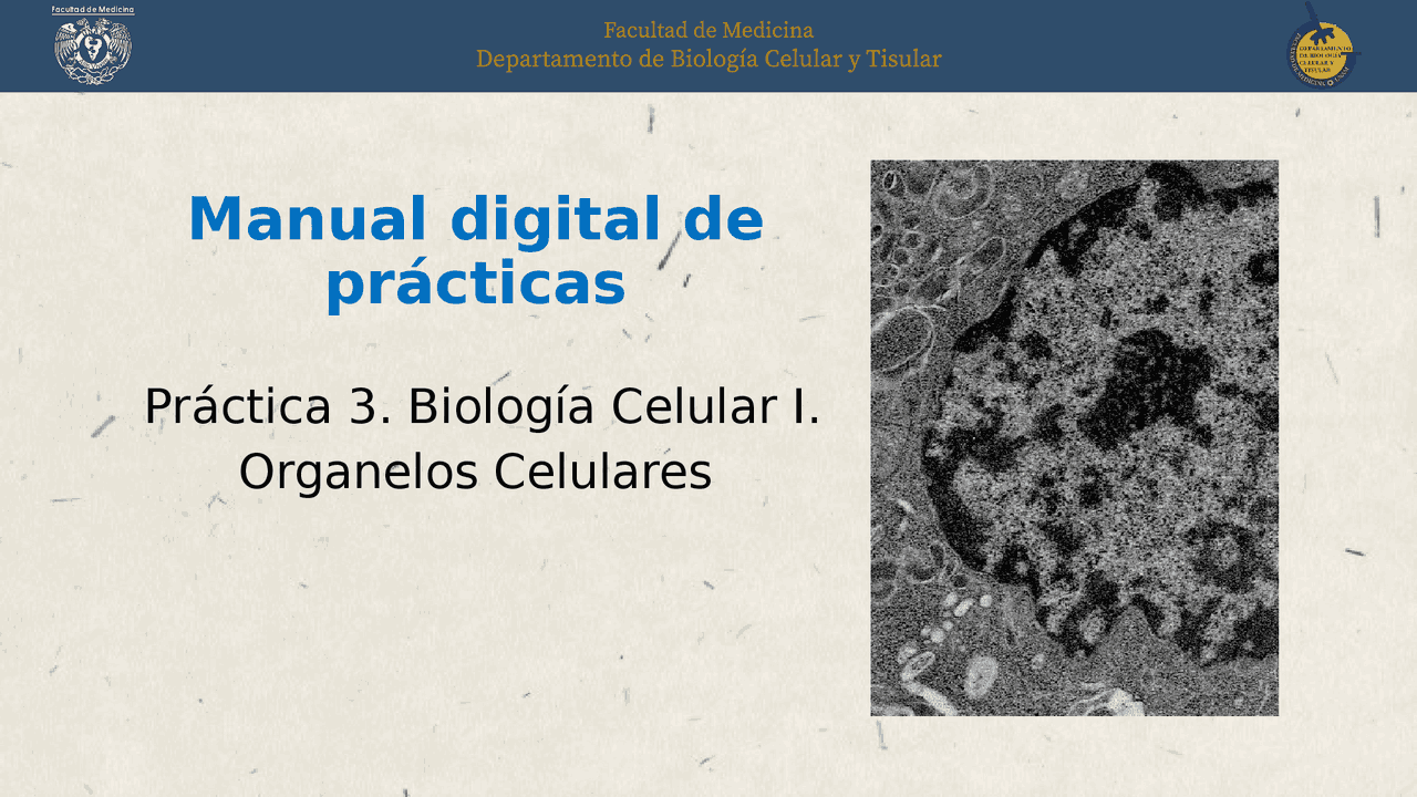 Práctica De Bioquímica Ejercicios De Bioquímica Docsity
