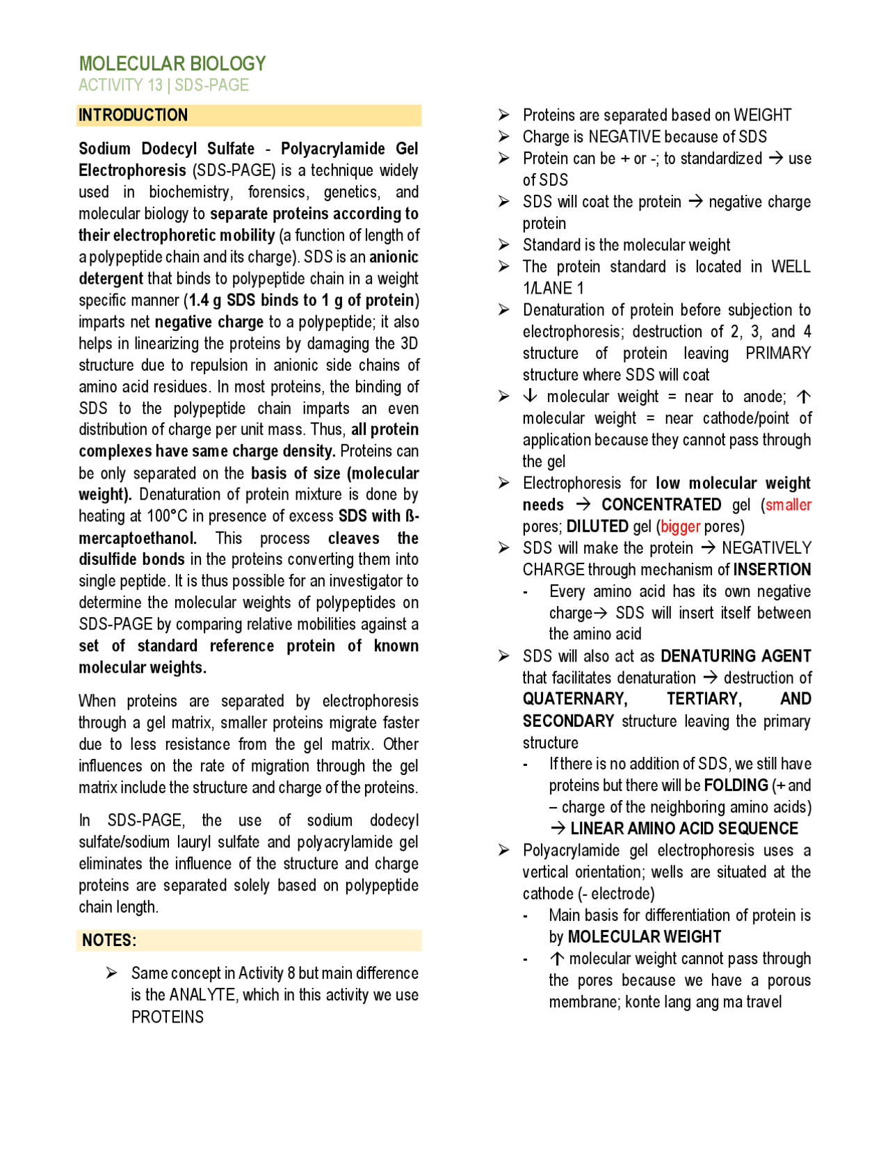 Sodium Dodecyl Sulfate - Polyacrylamide Gel Electrophoresis (SDS-PAGE ...