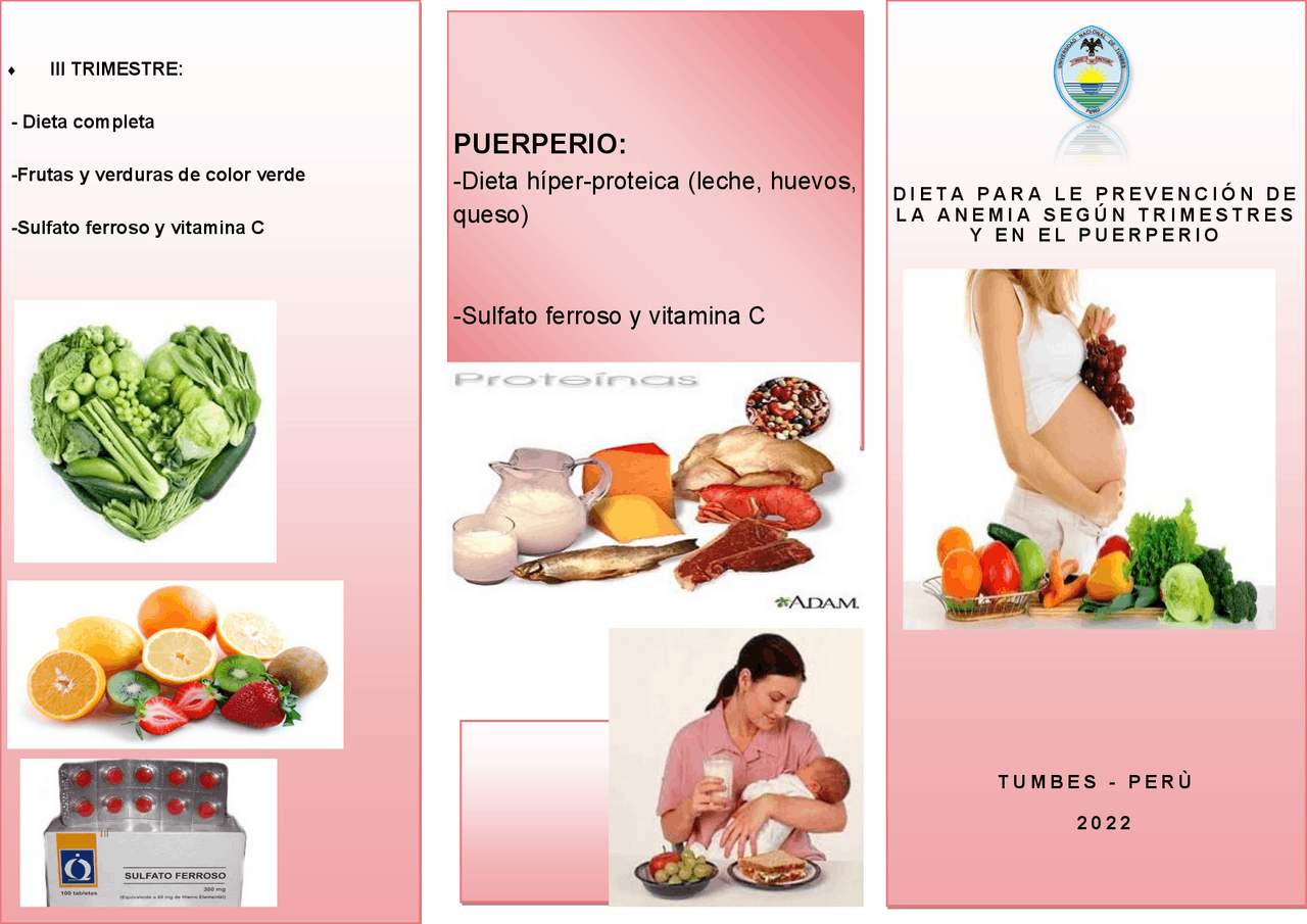 Prevención de la anemia | Esquemas y mapas conceptuales de Obstetricia ...