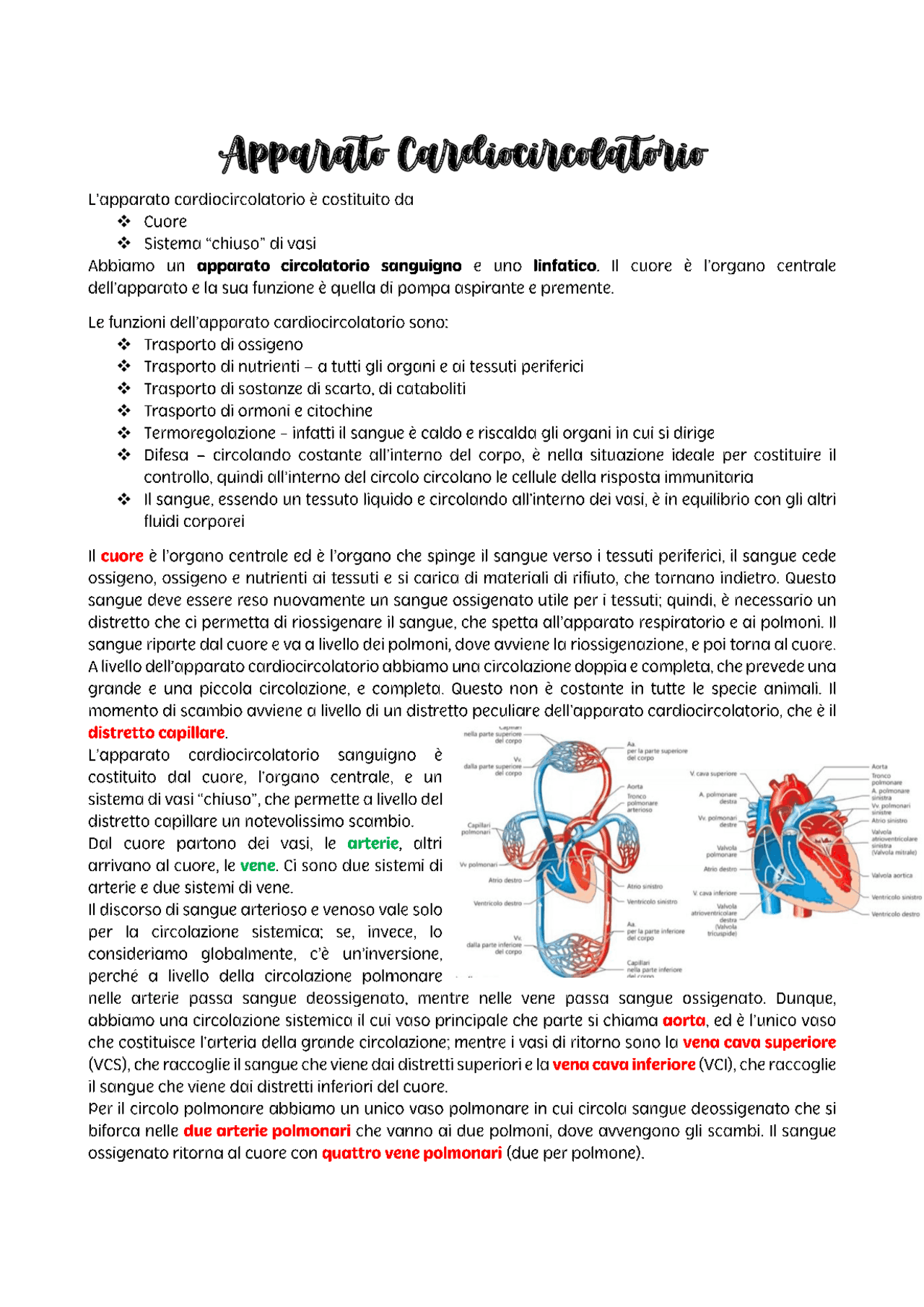 Sbobine Su Apparati Cardiocircolatorio Linfatico E Respiratorio
