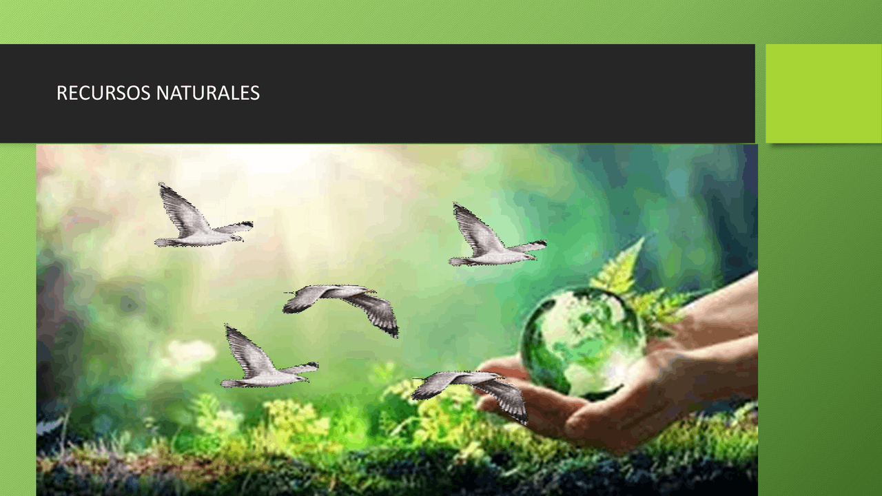 Arquitectura Apuntes Apuntes De Arquitectura Docsity