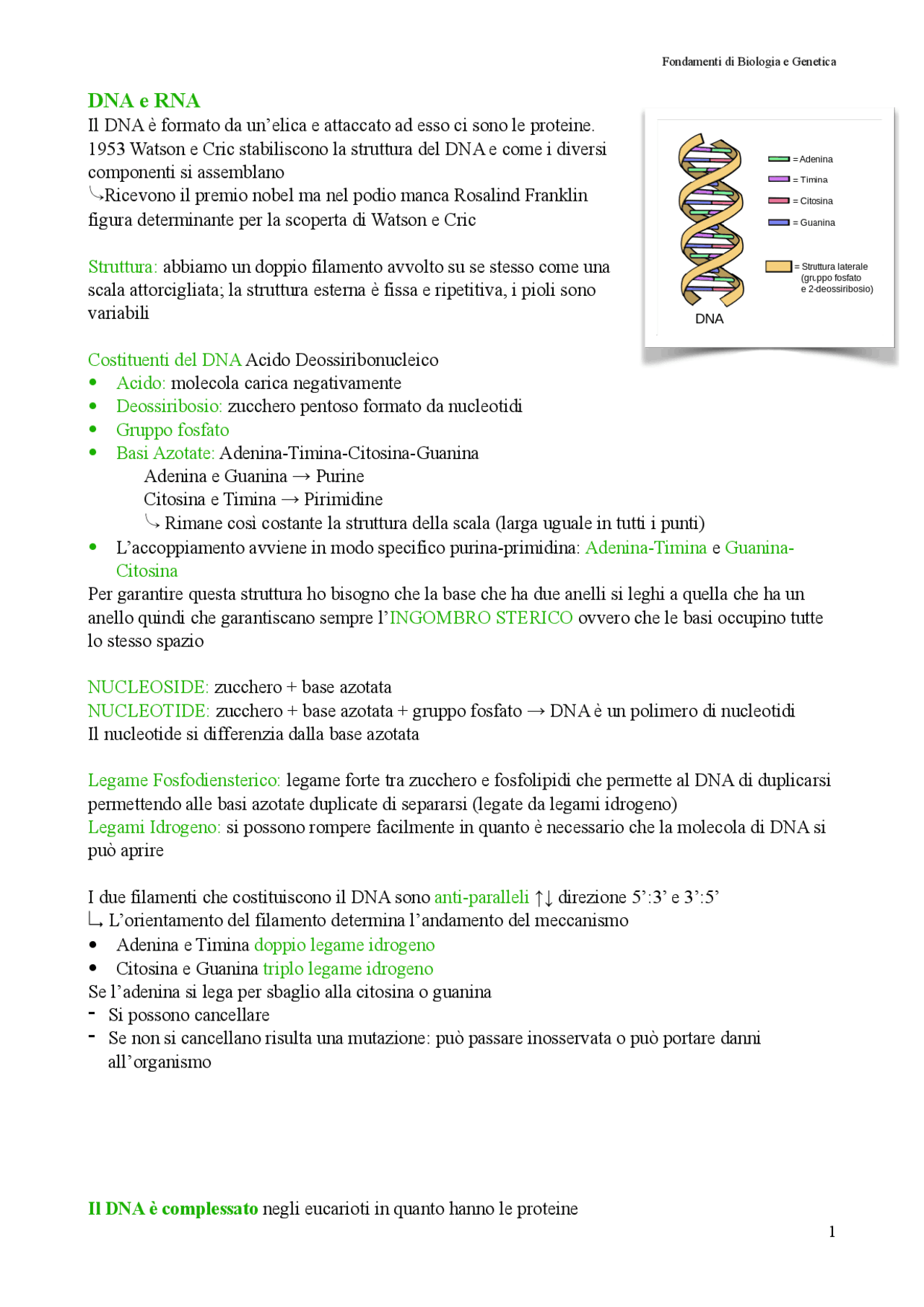 Dna E Rna Con Immagini Allegate Schemi E Mappe Concettuali Di