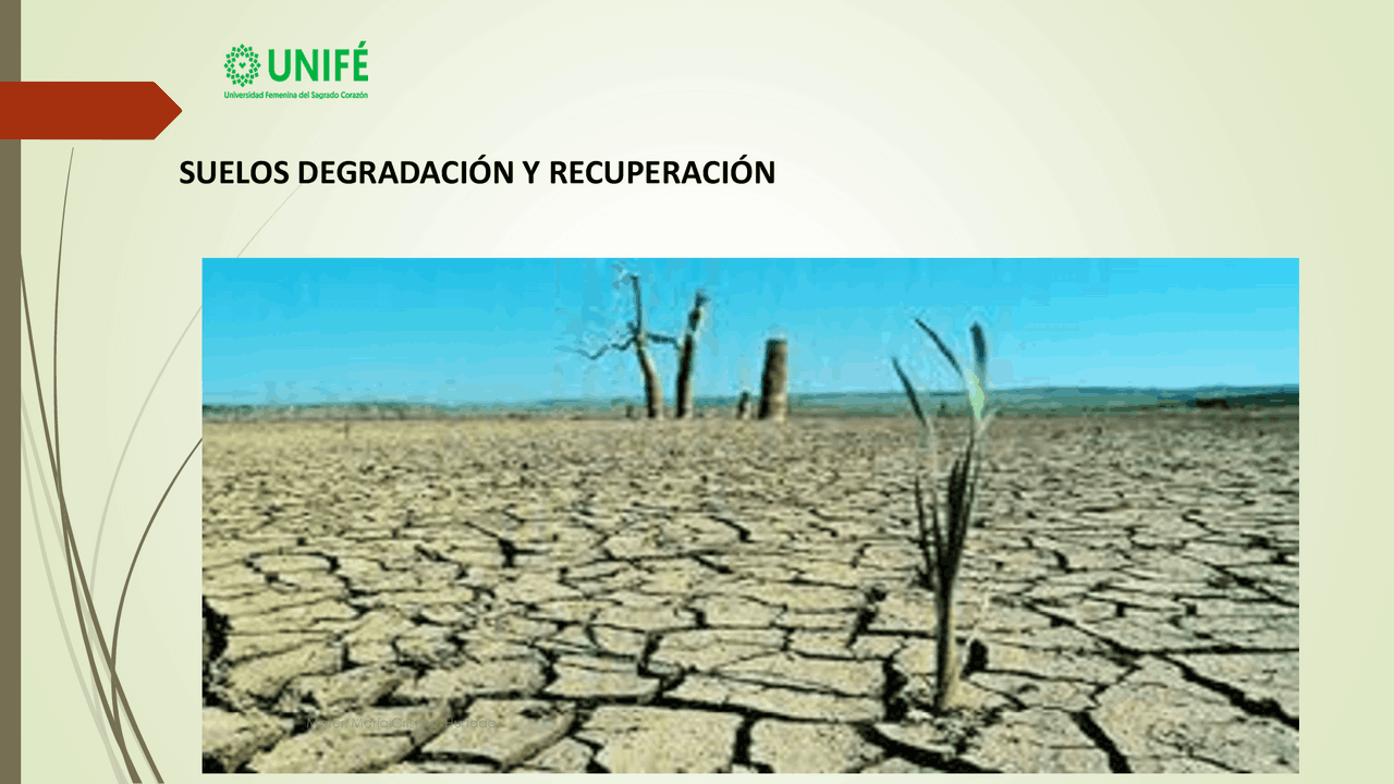 Arquitectura Apuntes Apuntes De Arquitectura Docsity