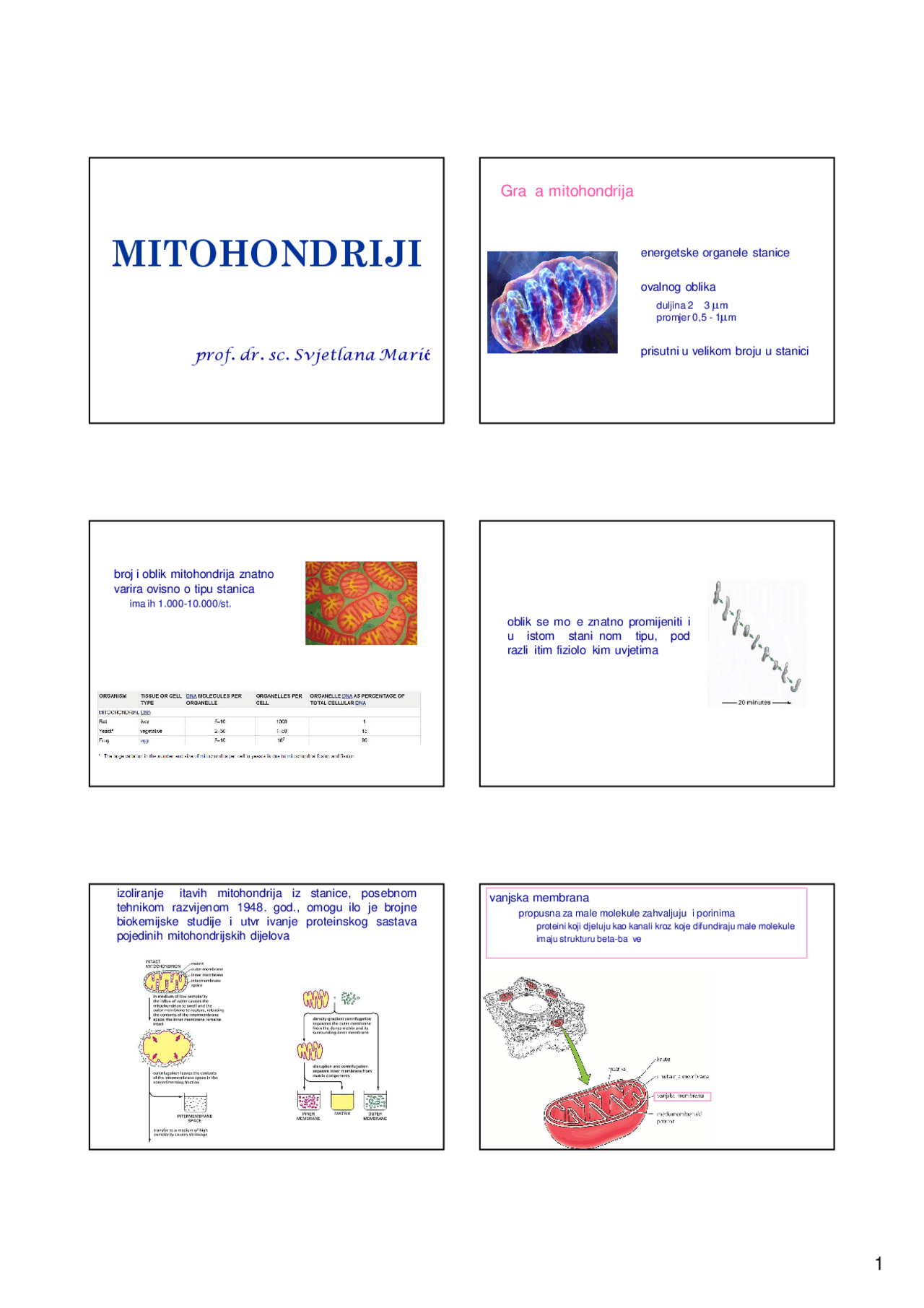mitohondrij prezentacija za srednju školu | Slajdovi od Mikrobiologija ...