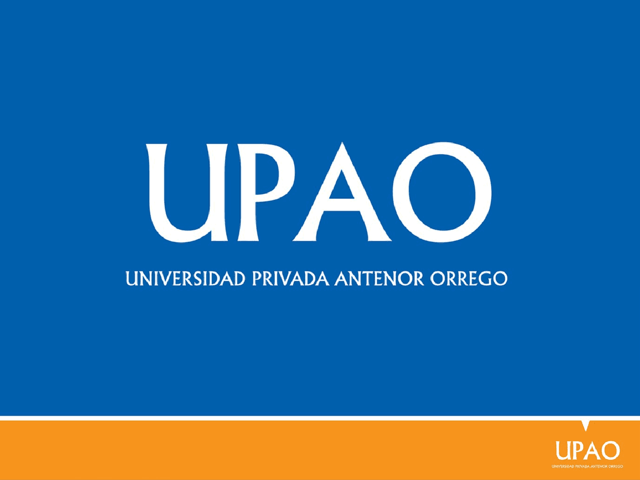 Diapositivas De Anatomia 3 Apuntes De Anatomía Docsity