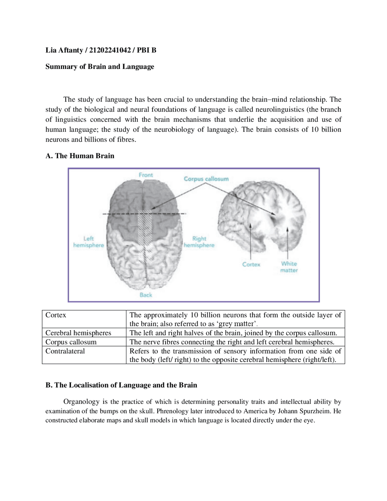 Summaryze Linguistics Summaries English Language Docsity