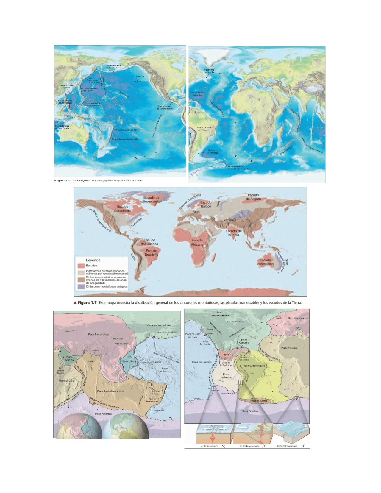 Geologia Y Sus Componentes Esquemas Y Mapas Conceptuales De Geología