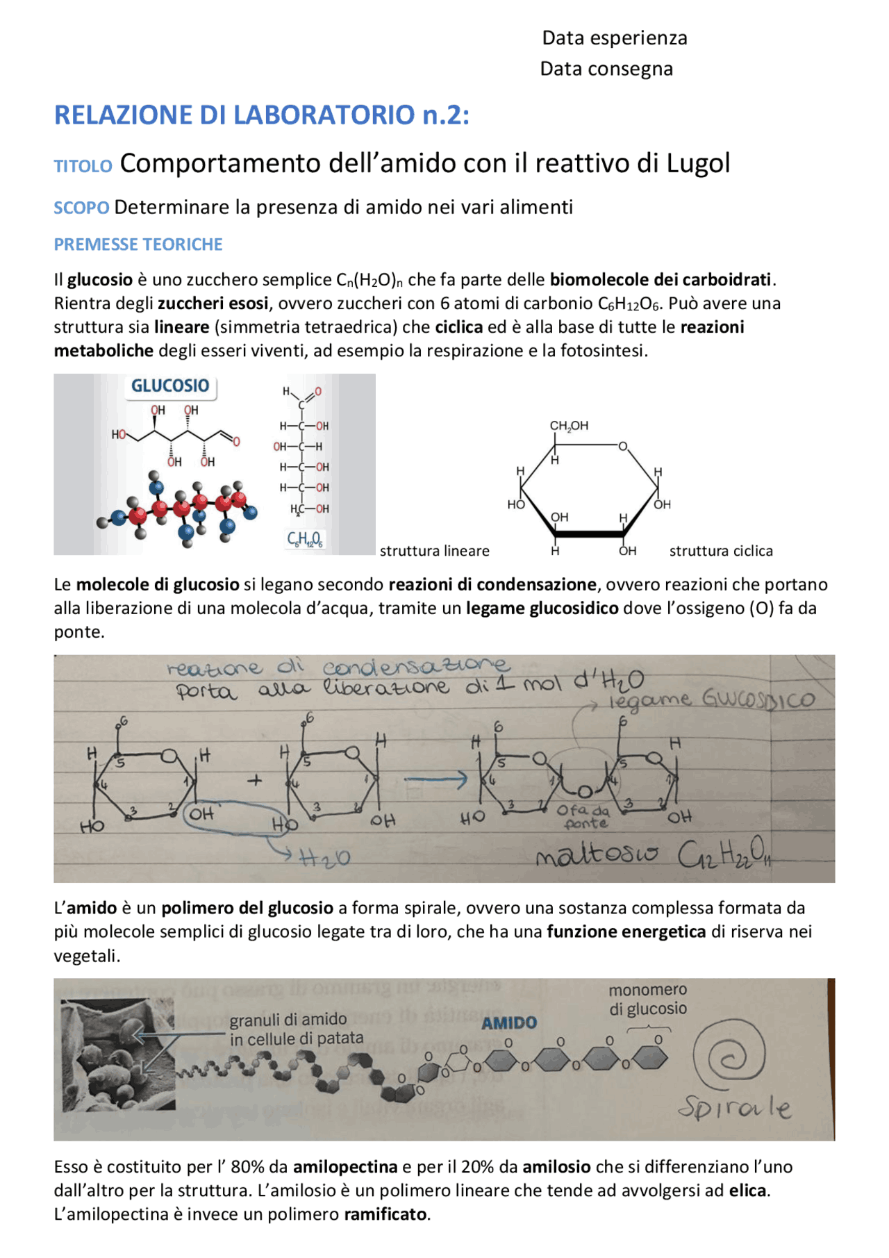 Relazione Di Laboratorio Sul Reattivo Di Lugol Con Lamido Slide Di