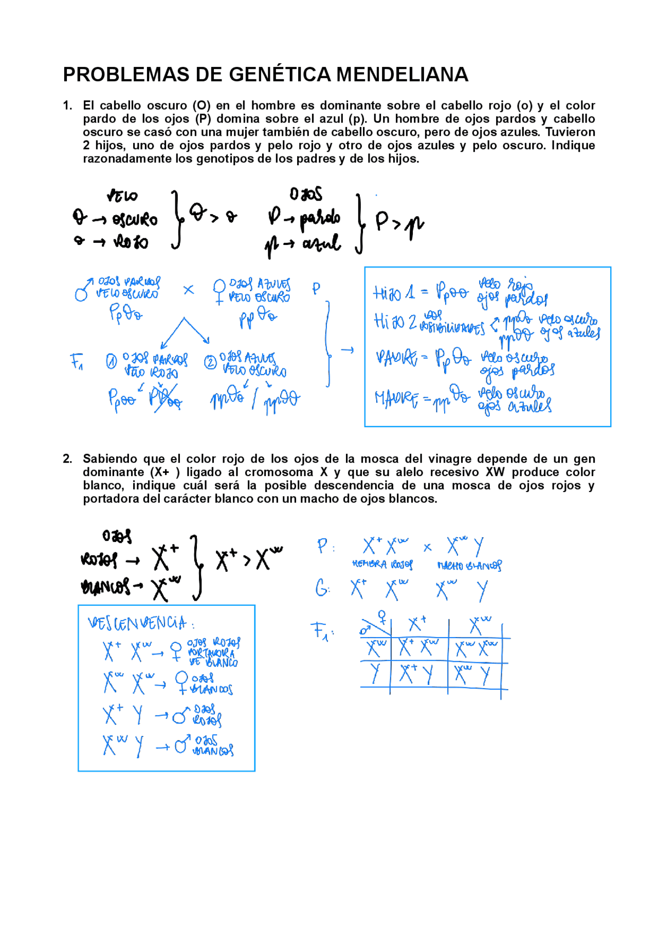 Problemas genética mendeliana | Ejercicios de Biología | Docsity