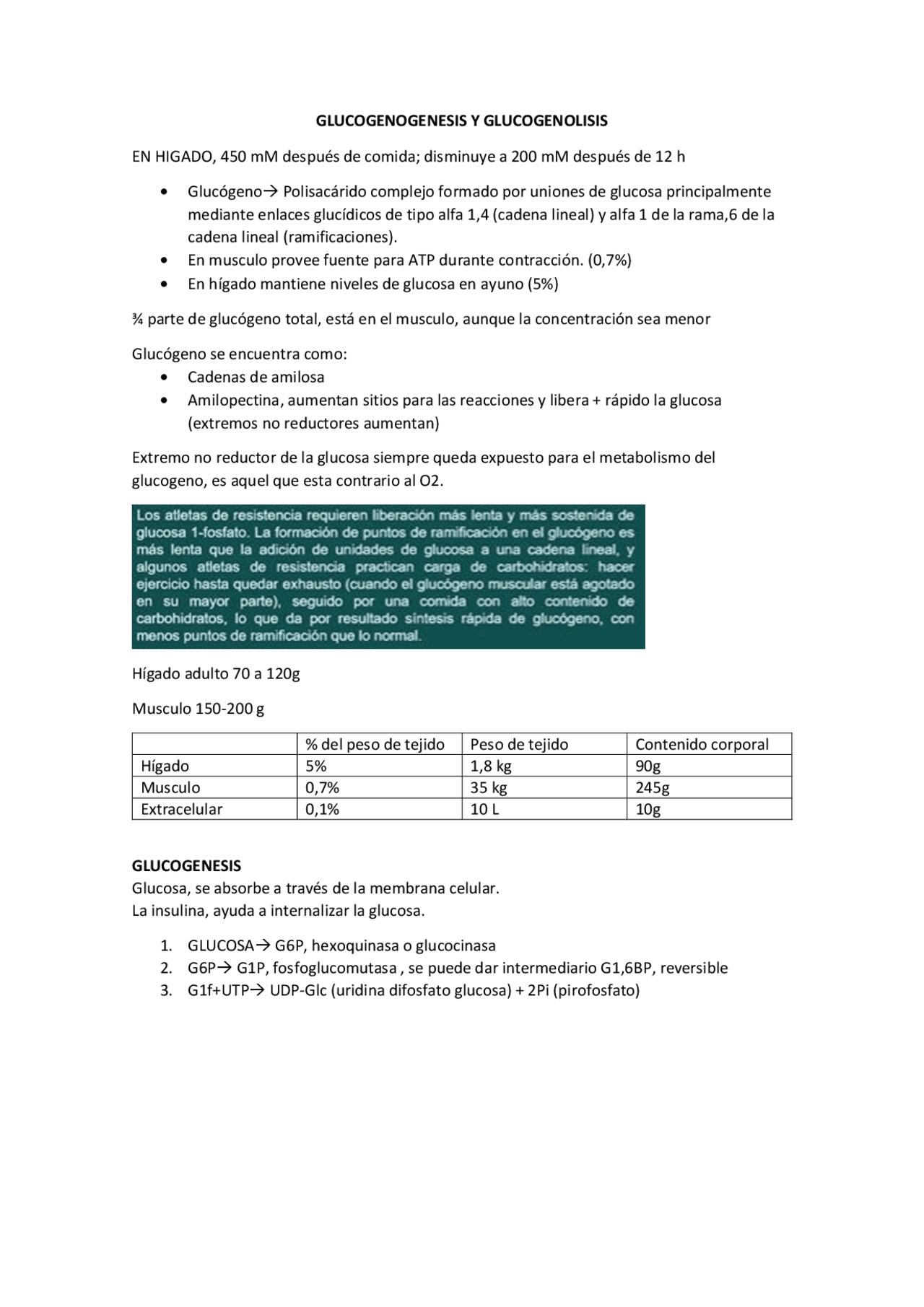 Procesos De La Glucosa Apuntes De Bioquímica Docsity
