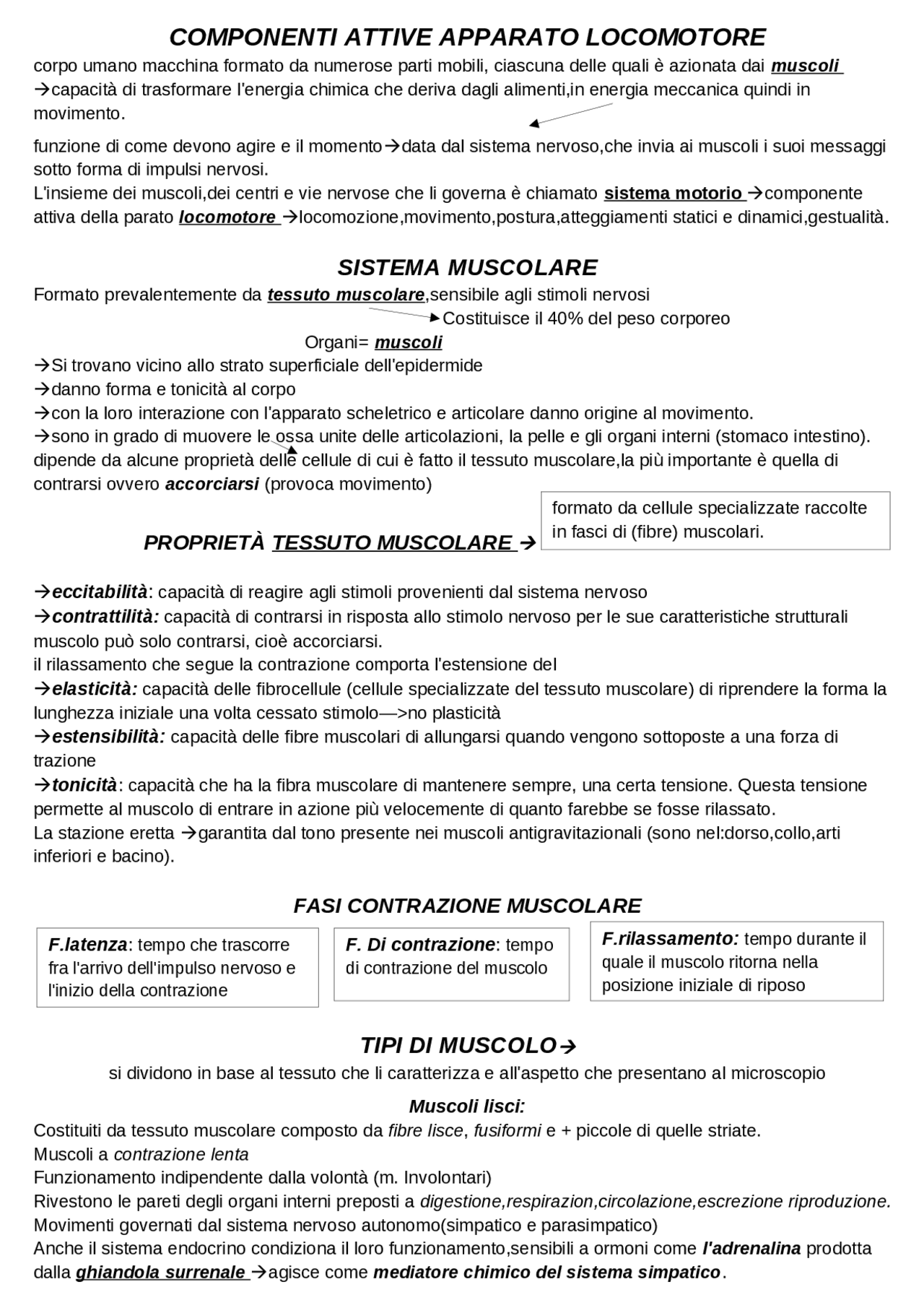Riassunto schematizzato del sistema muscolare | Schemi e mappe ...