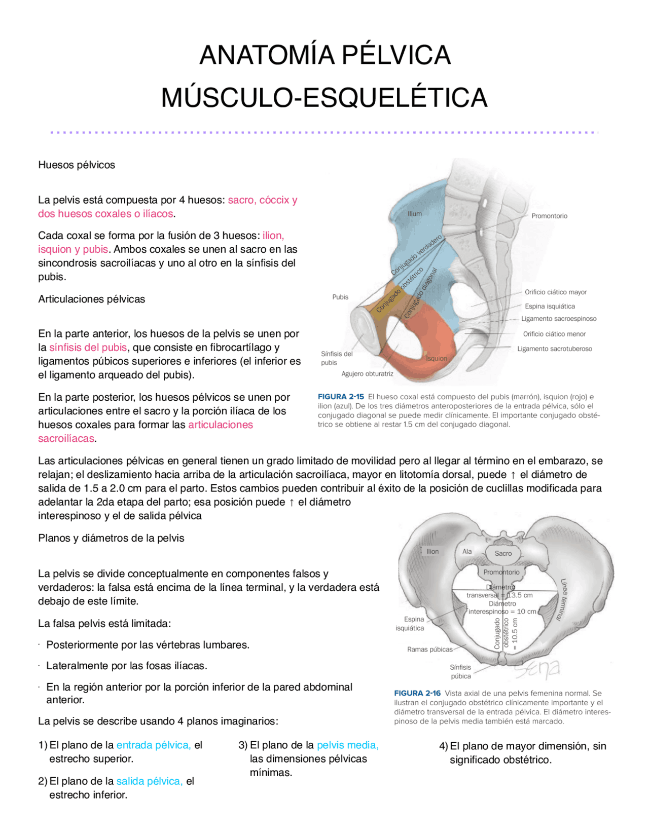 Conjugado Obstétrico