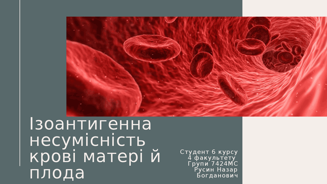 Імунологія презинтація Рефераты Акушерство Docsity
