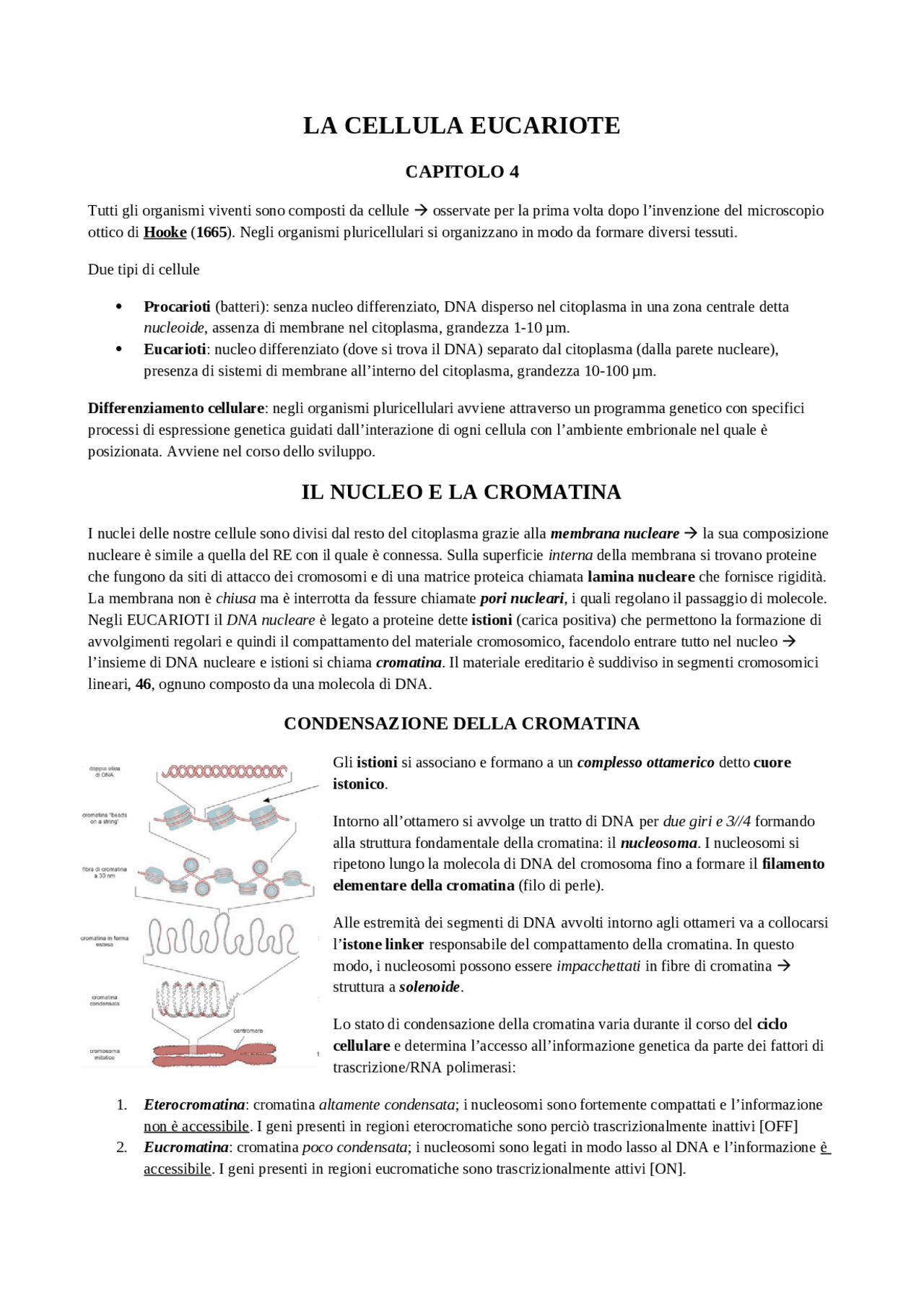 La Cellula Eucariote Appunti Di Biologia Docsity