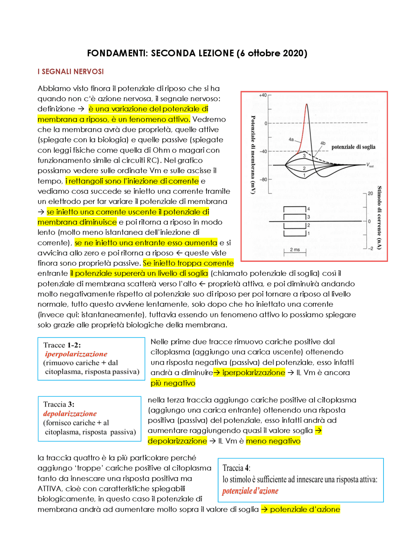 FONDAMENTI APPUNTI PRIMO MODULO Prof. De Vito | Appunti di Fondamenti Anatomo-fisiologici dell ...