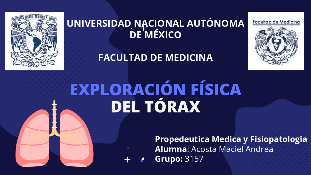 Exploración de tórax | Diapositivas de Medicina | Docsity