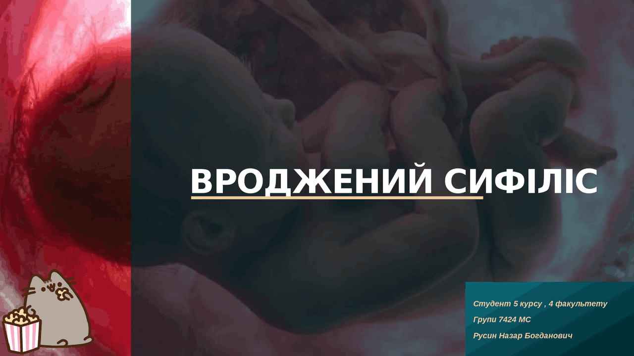 Презинтація по сифілісу Презентации Акушерство и гинекология Docsity