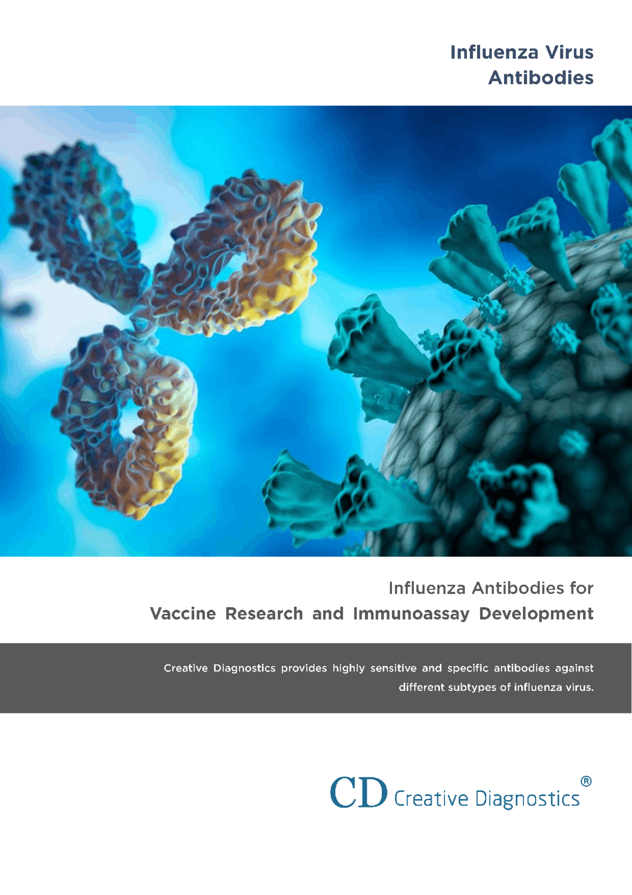 CD Influenza Virus Antibodies | Essays (high school) Biology | Docsity