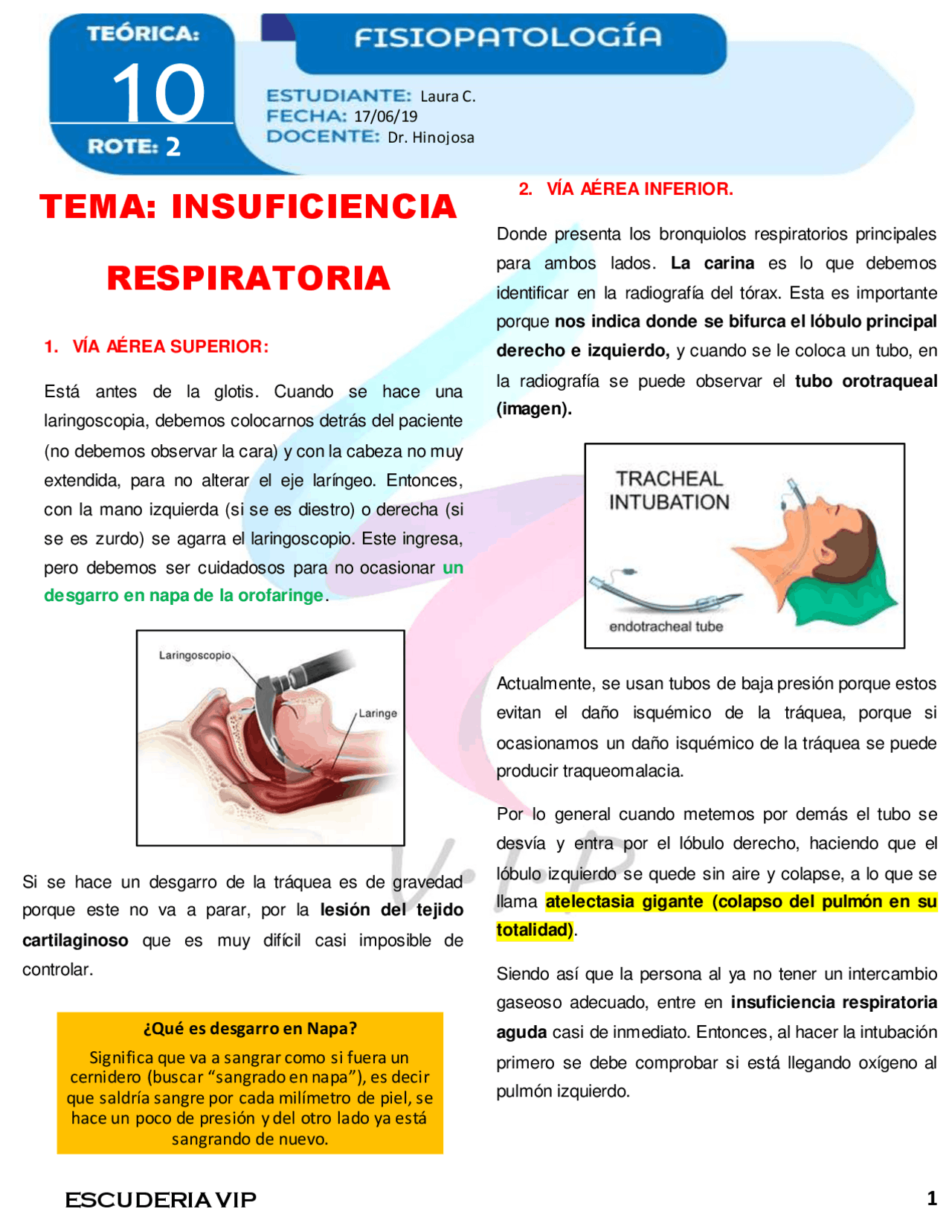 Neumología Insuficiencia Respiratoria Apuntes De Neumología Docsity