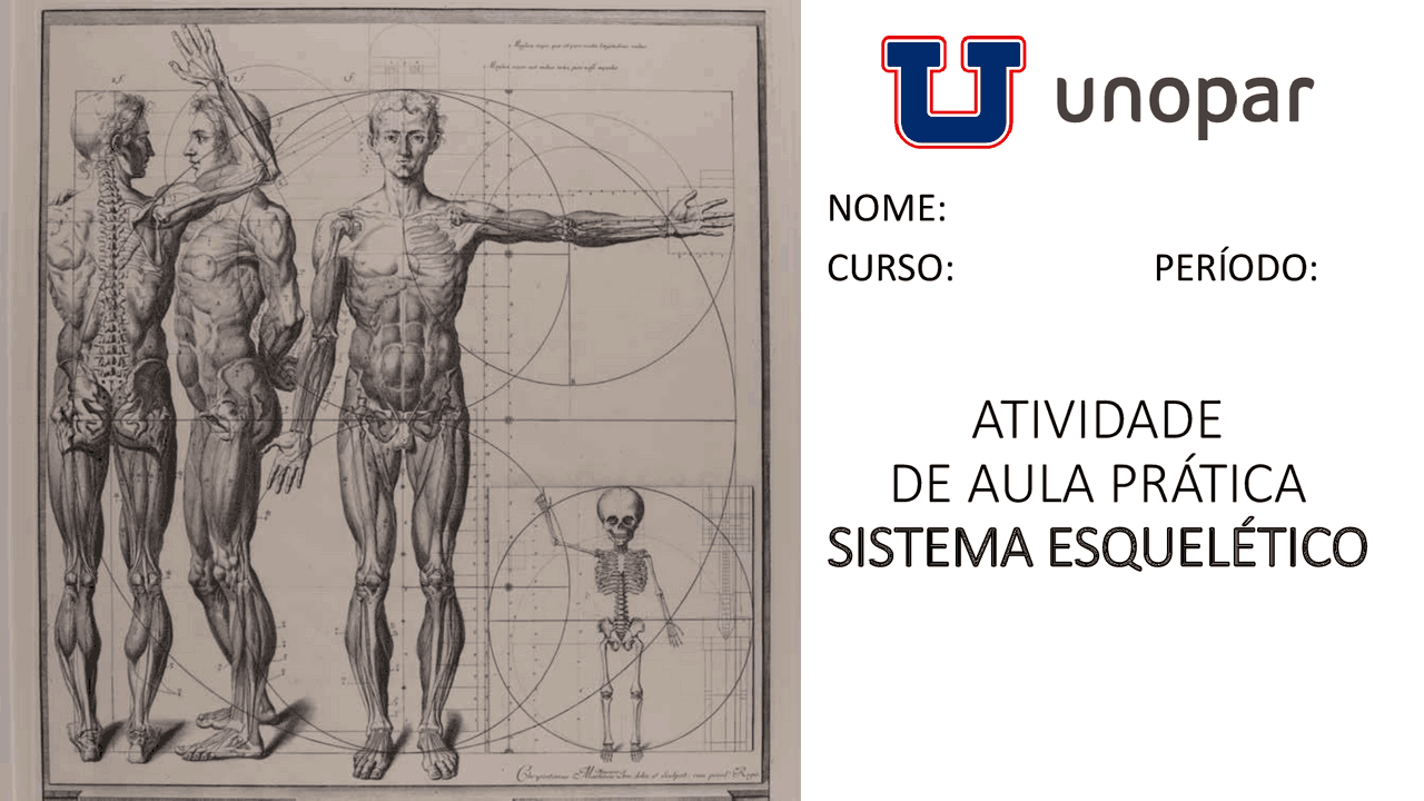 Exercício De Anatomia Exercícios Biomedicina Docsity