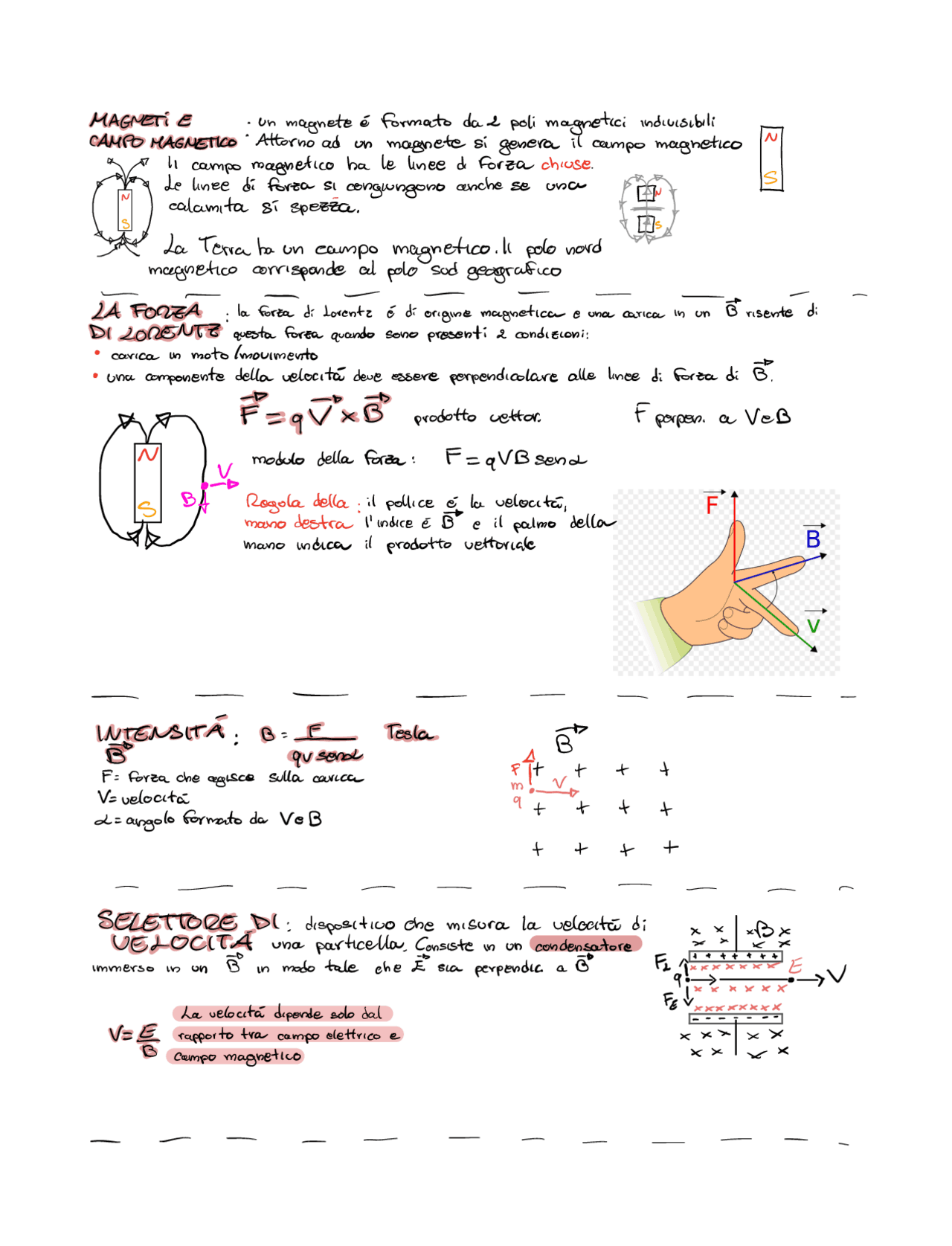 Concetti base del magnetismo | Schemi e mappe concettuali di Fisica | Docsity