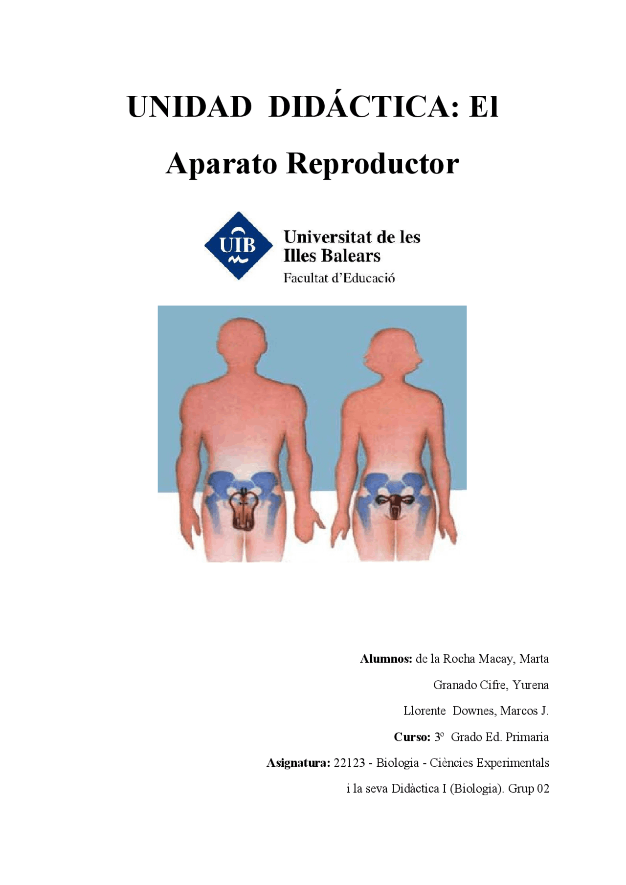 Información Sobre Sistema Reproductor Apuntes De Biología Docsity