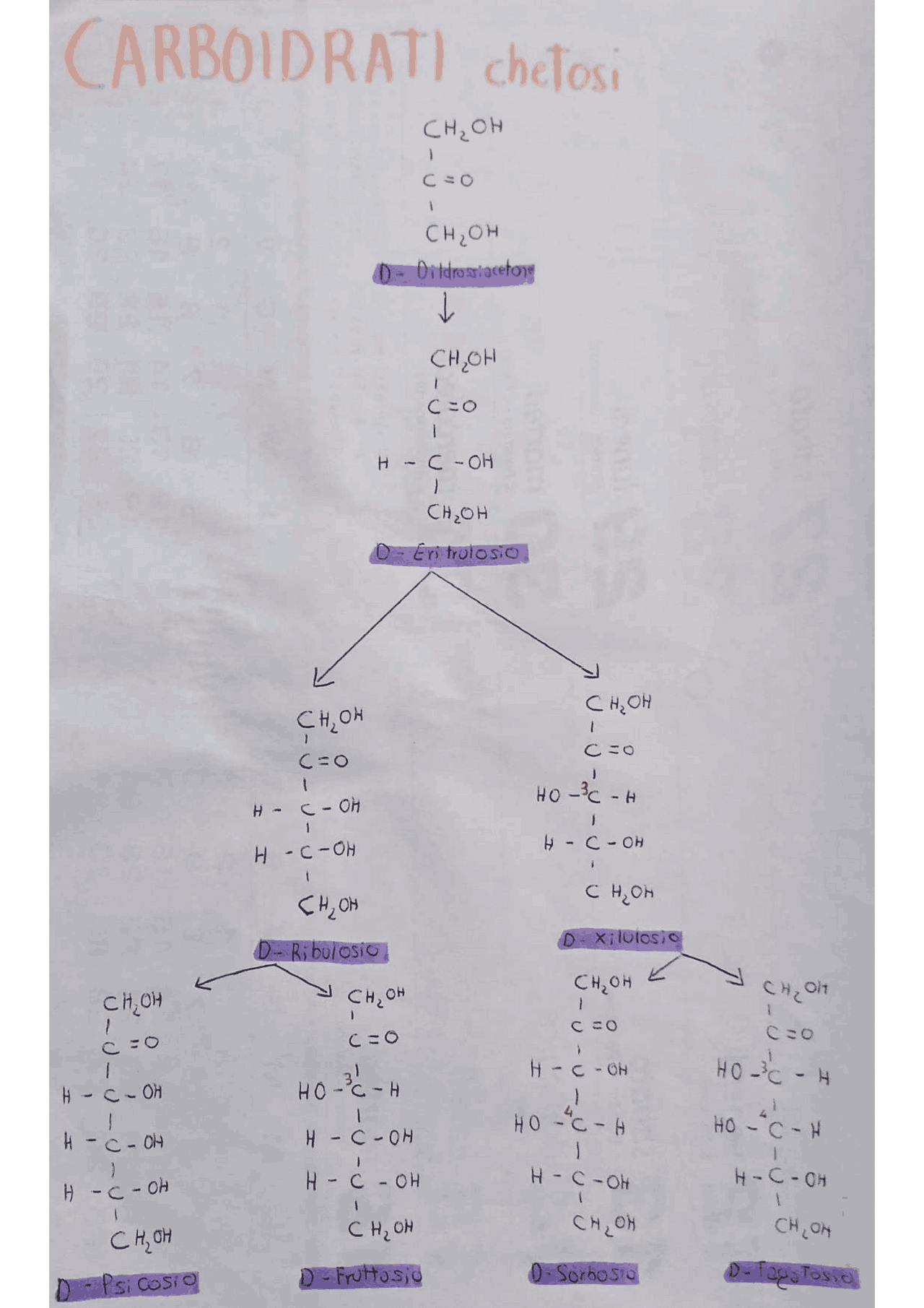 Schema Carboidrati Chetosi Schemi E Mappe Concettuali Di Chimica