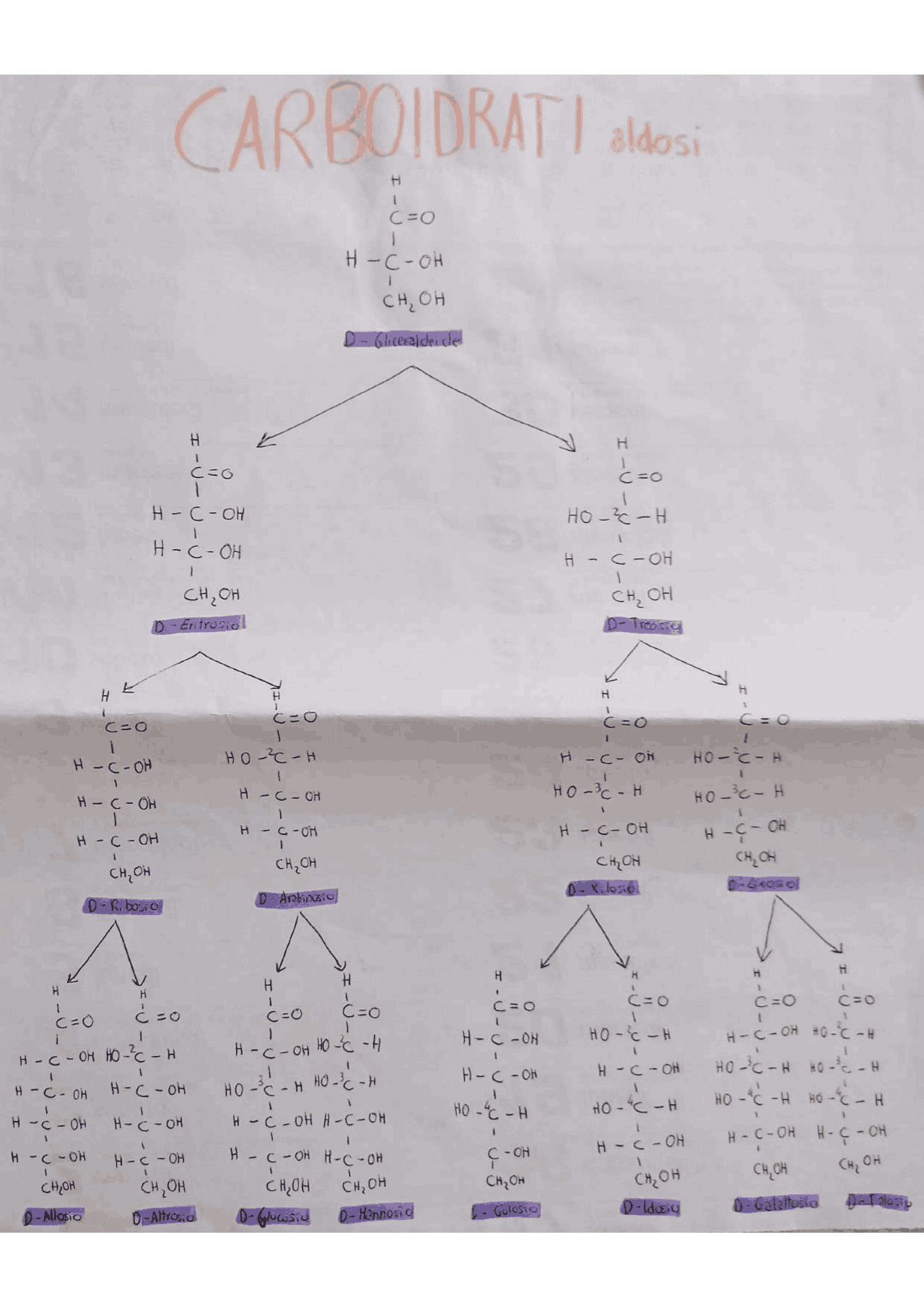 Schema Carboidrati Aldosi Schemi E Mappe Concettuali Di Chimica