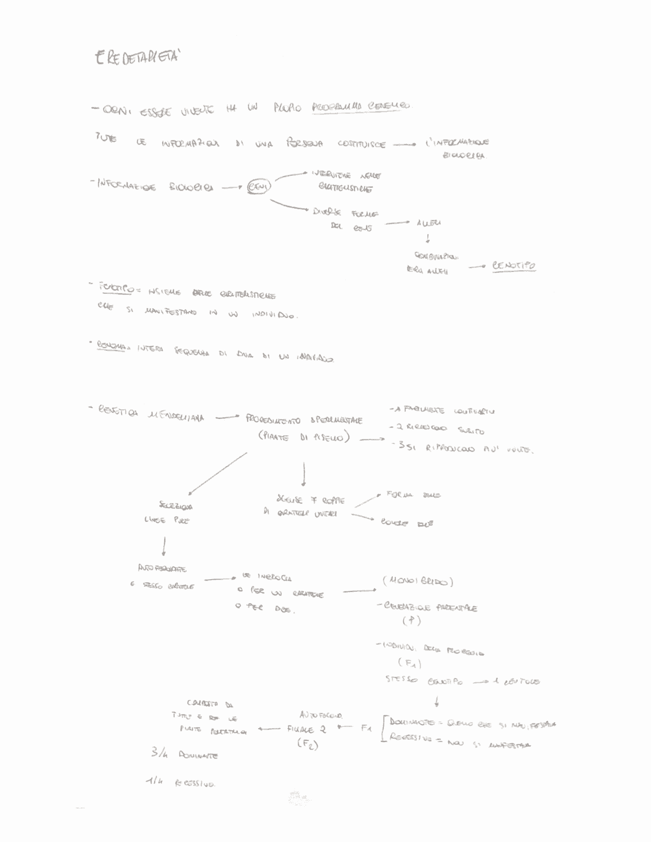 Ereditarietà Biologia Schemi E Mappe Concettuali Di Biologia Docsity