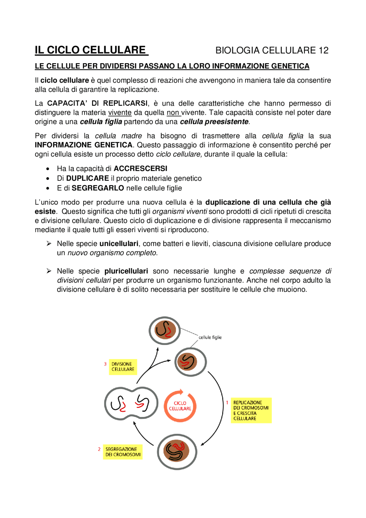IL ciclo cellulare, MITOSI, MEIOSI, GAMETOGENESI | Dispense di Biologia Cellulare | Docsity
