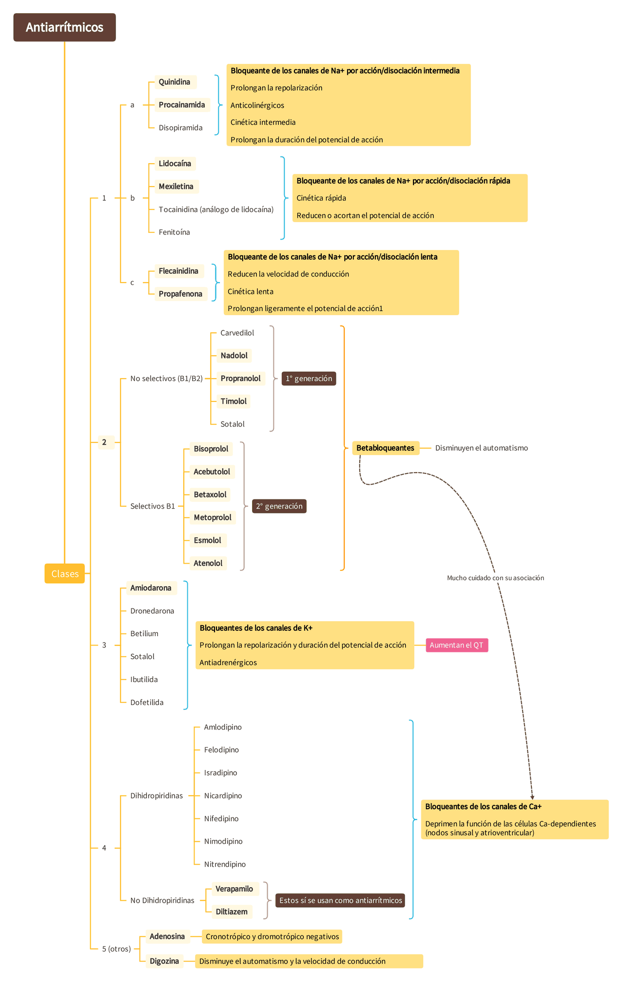 Farmacología De Las Arritmias Esquemas Y Mapas Conceptuales De