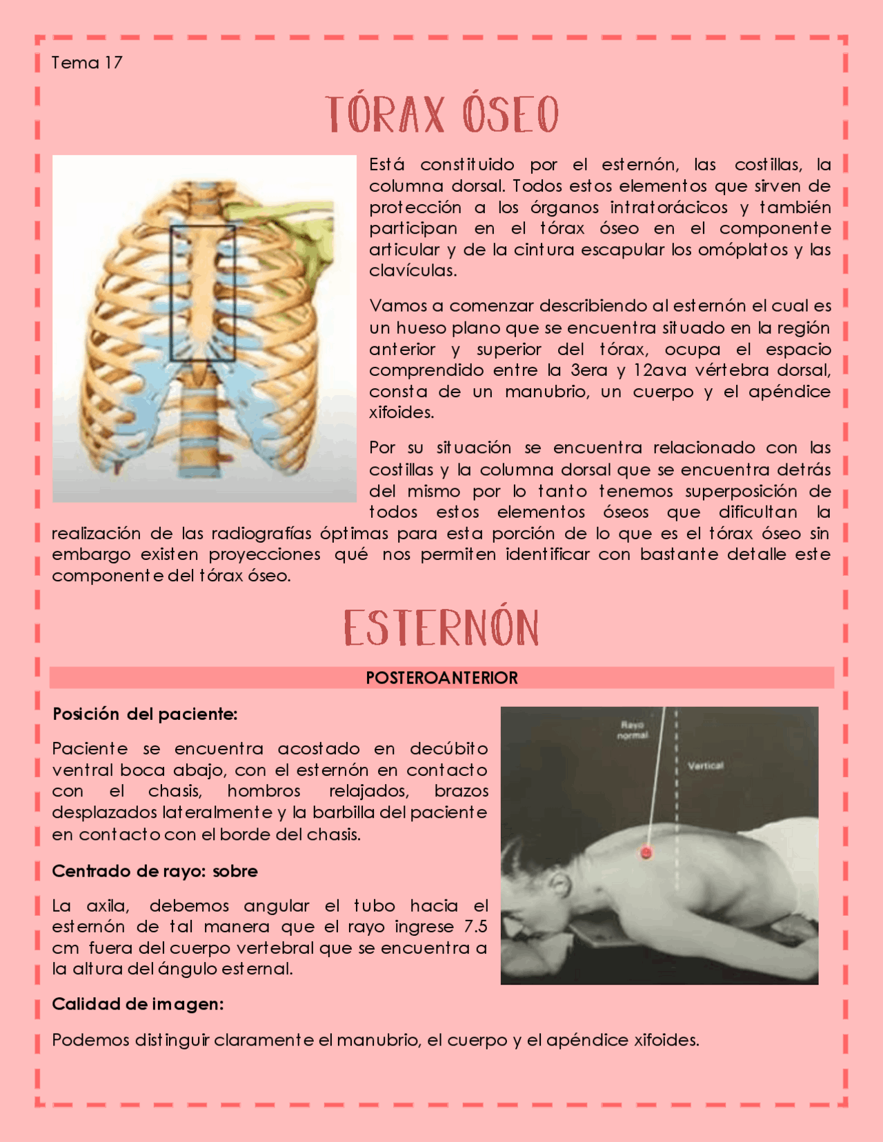 Proyecciones de Torax Oseo | Apuntes de Radiología | Docsity