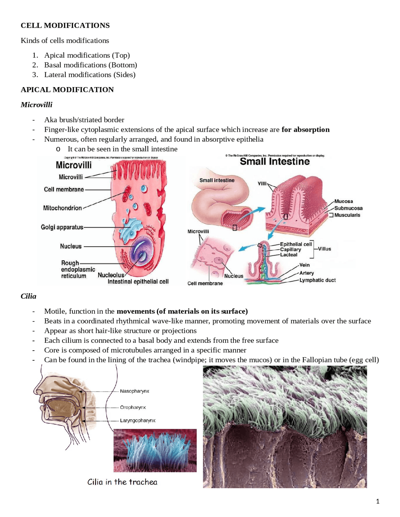Biology Cell Modifications Lecture Notes Biology Docsity