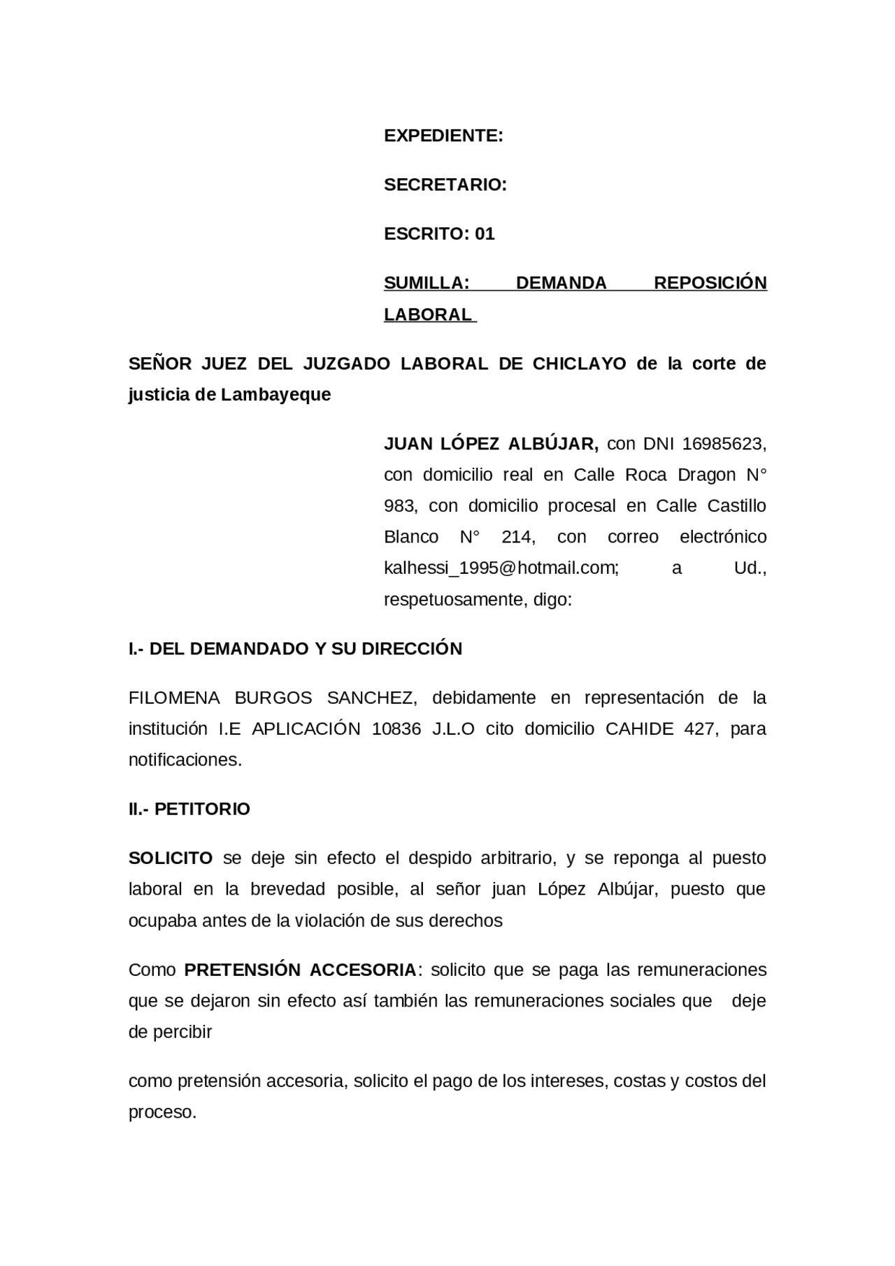 Modelo de demanda laboral derecho | Apuntes de Derecho Laboral | Docsity