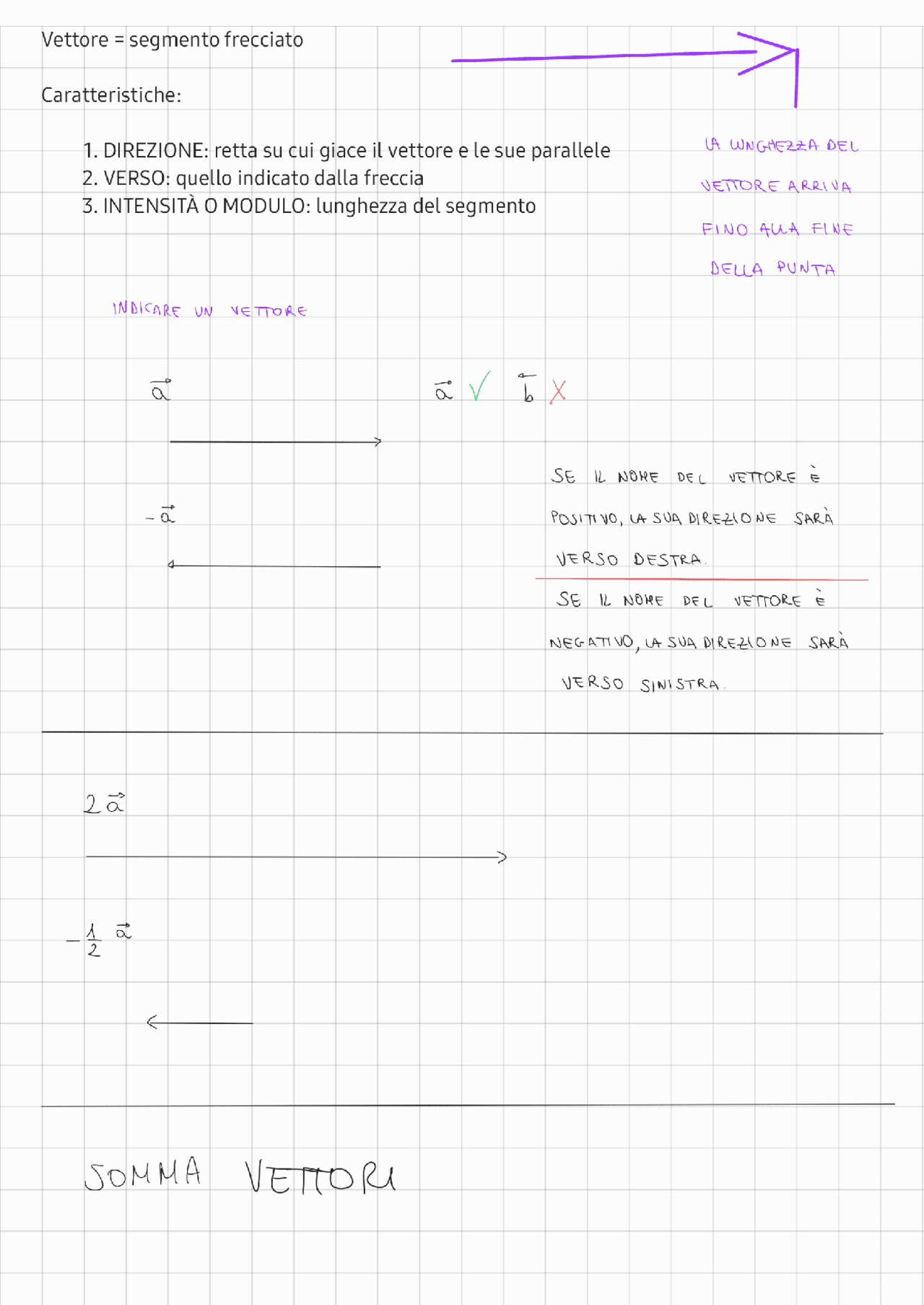 Teoria Dei Vettori Fisica Schemi E Mappe Concettuali Di Fisica