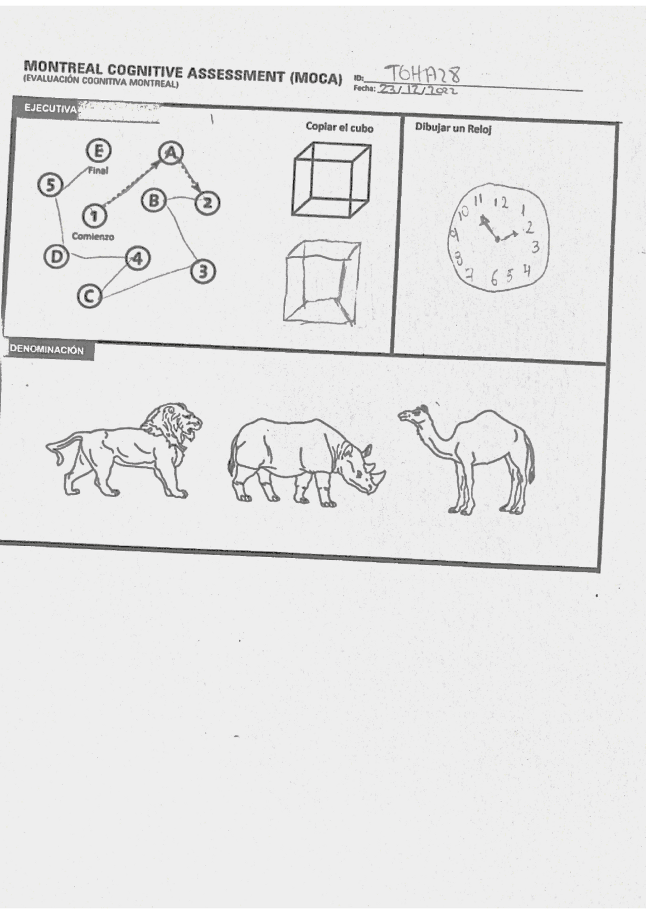 Evaluación neuropsicologica, mocca | Exámenes de Neurociencia Cognitiva ...