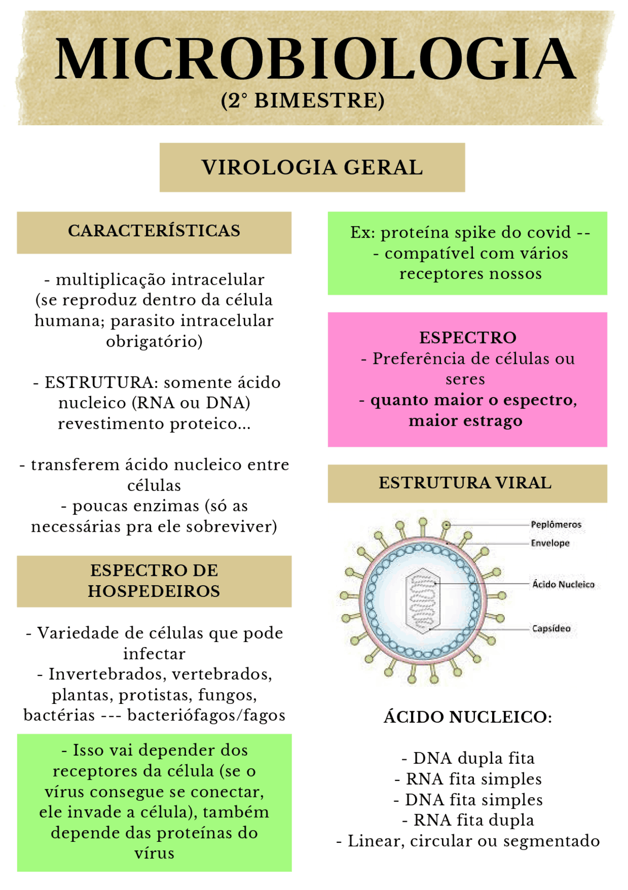 Virologia Geral Conteúdos Sobre Vírus Slides Microbiologia Docsity