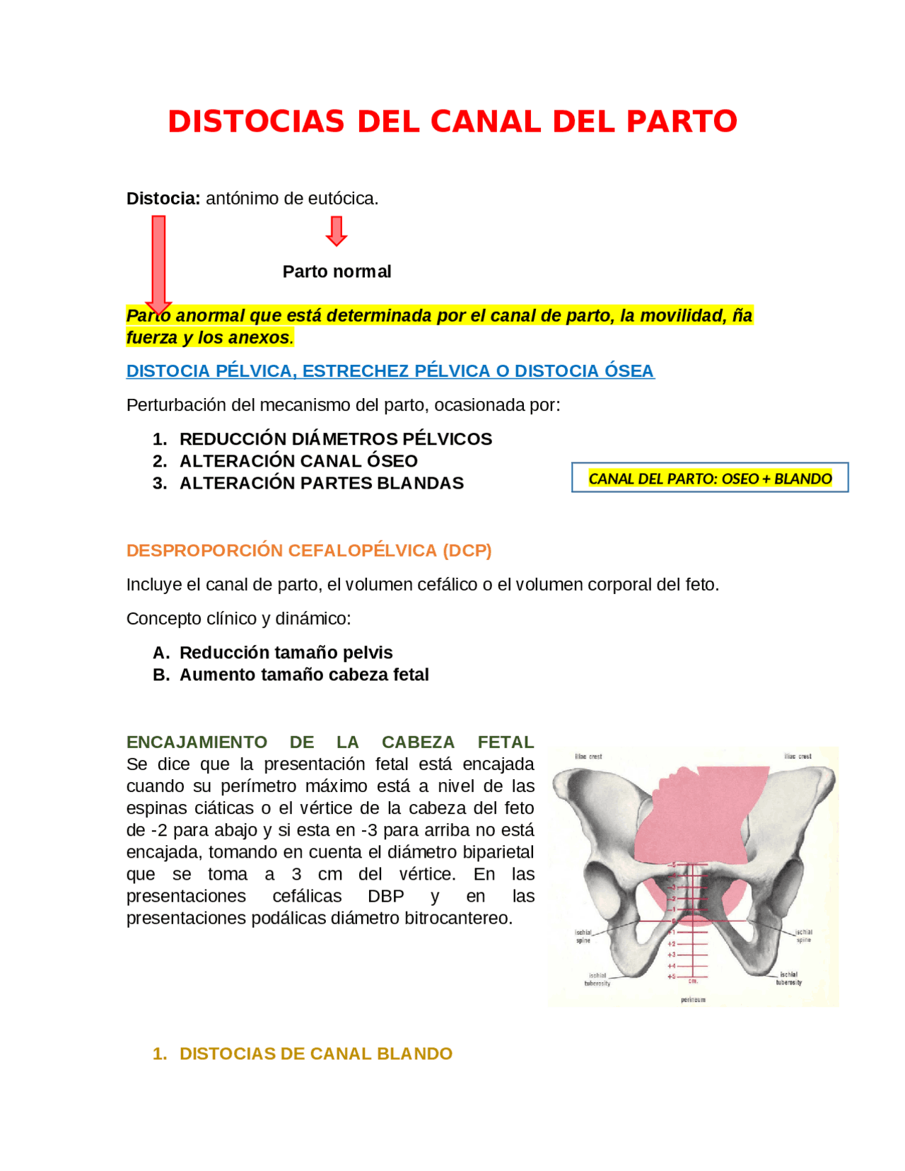Distocias del canal del parto | Resúmenes de Ginecología | Docsity