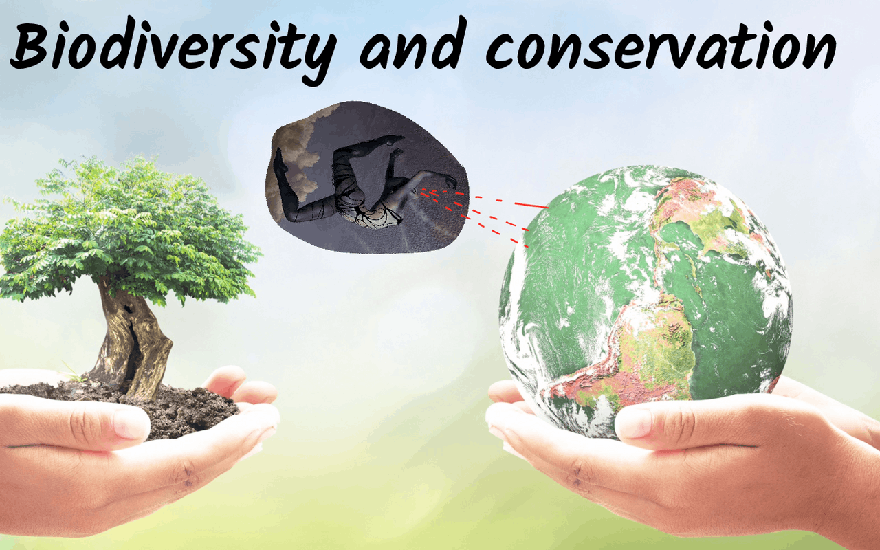 Biotechnology Principles And Processes Slides Biology Docsity