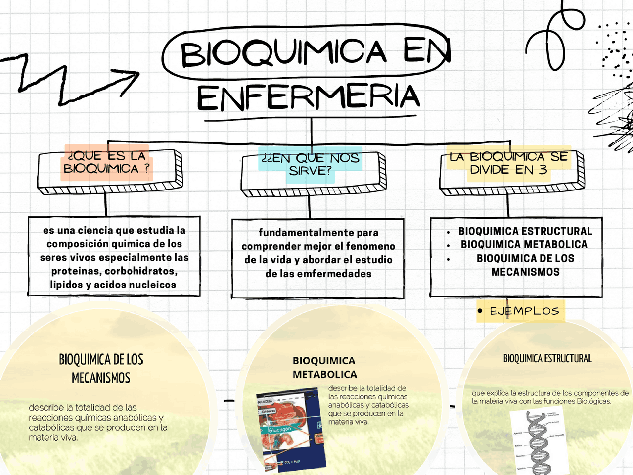 Ejemplos De Bioquímica PDF) La Teoría De La Bioquímica Metabólica