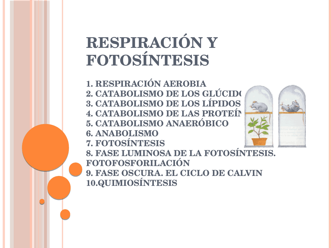 Fotosintesis y respiración celular | Diapositivas de Biología | Docsity